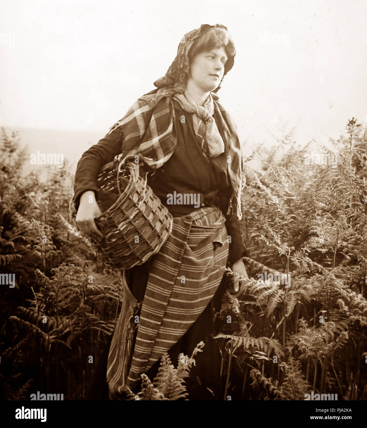 Rural life, Victorian period Stock Photo - Alamy