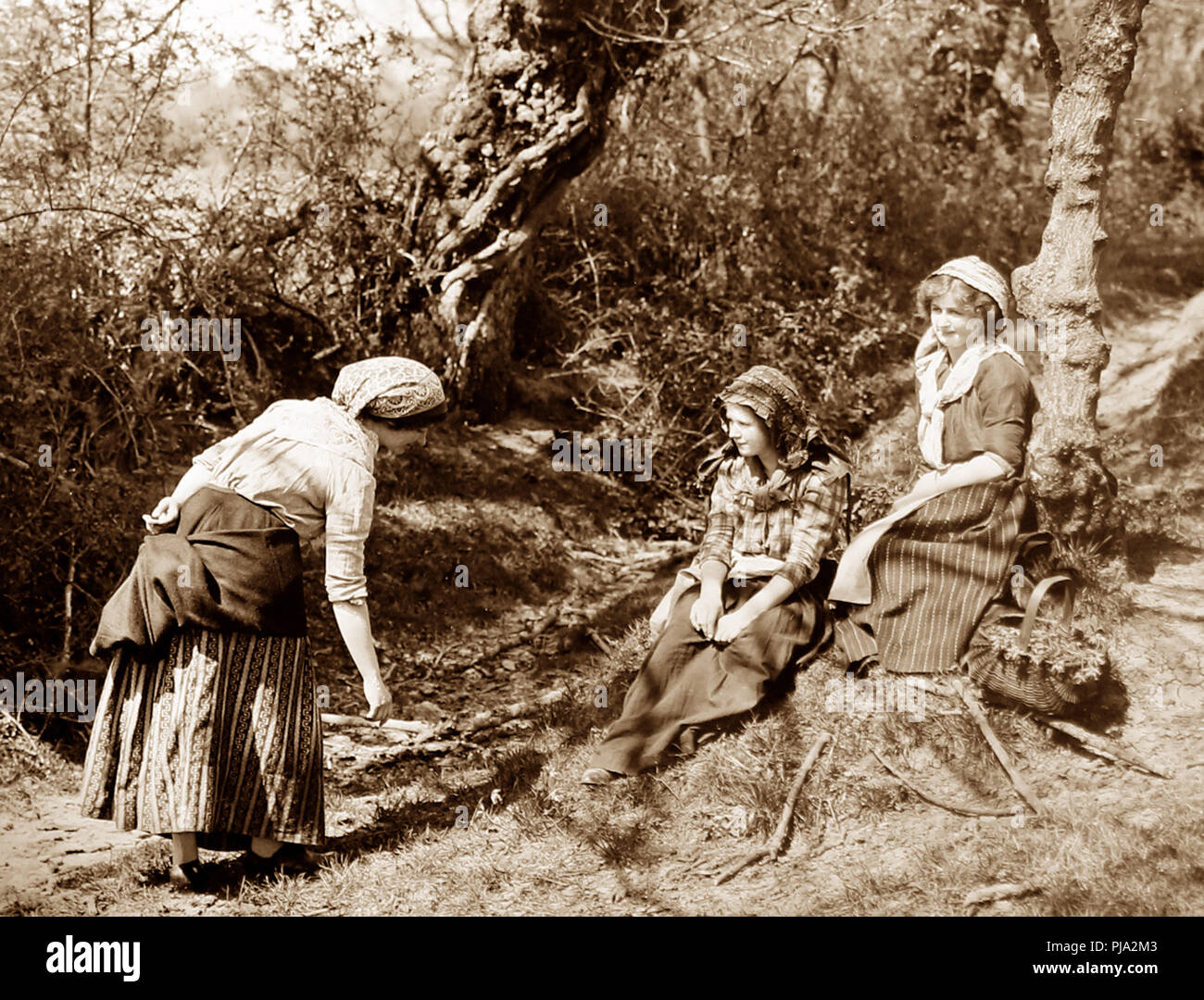 Rural life, Victorian period Stock Photo - Alamy