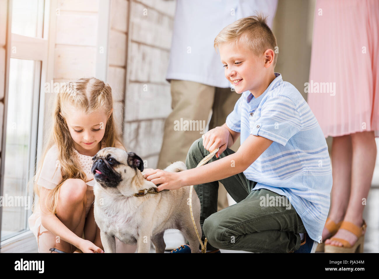 children palming pug dog at animals shelter Stock Photo - Alamy