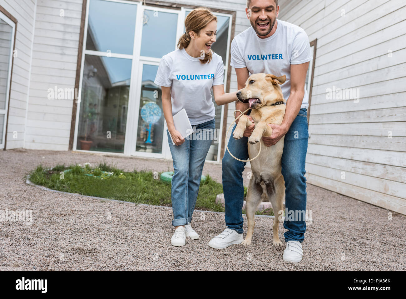 Animals and people having fun hi-res stock photography and images - Alamy
