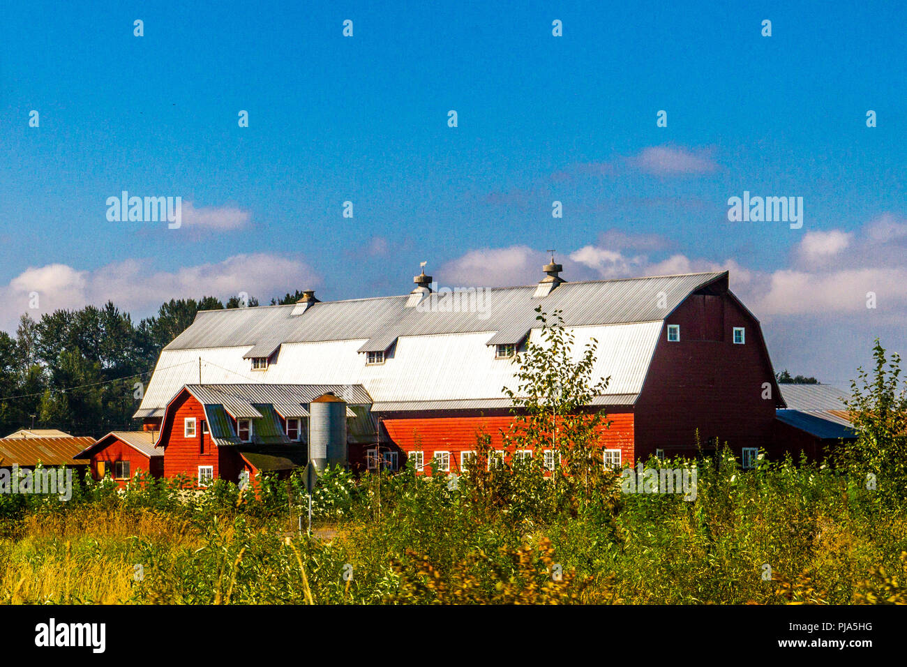 A nice big Red Barn in Lynden, Washington Stock Photo - Alamy