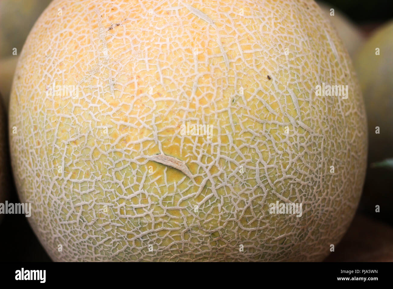 Melon detail hi-res stock photography and images - Alamy