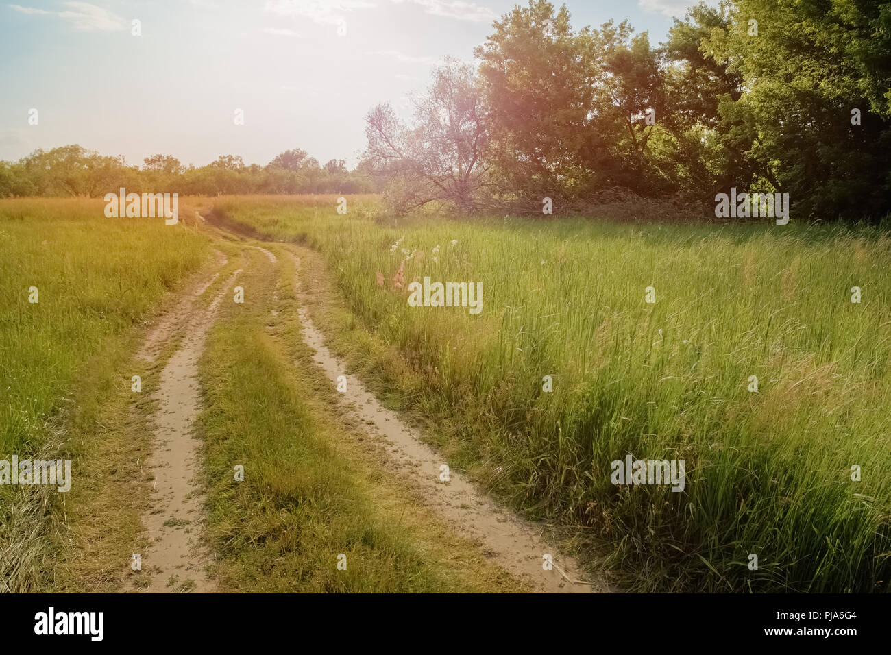 A winding rural road in a field among green grass and bushes in the ...