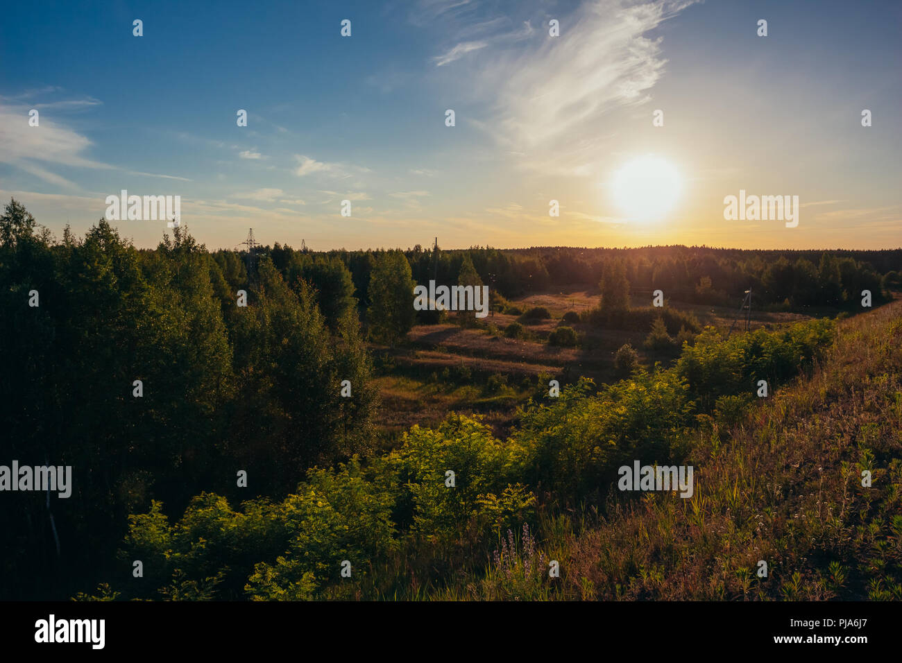 Belarusian forests hi-res stock photography and images - Alamy