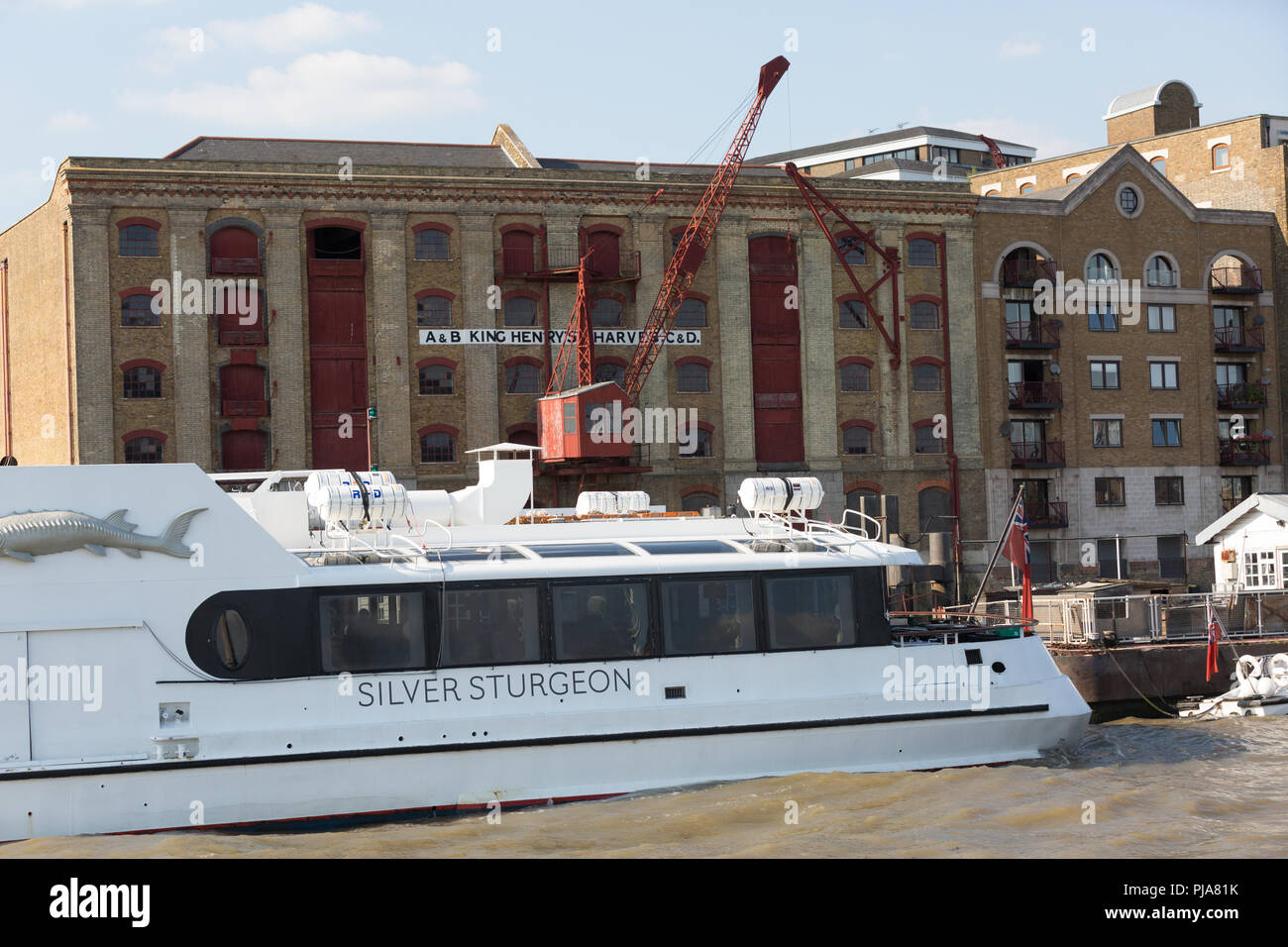 Silver sturgeon river boat hi-res stock photography and images - Alamy