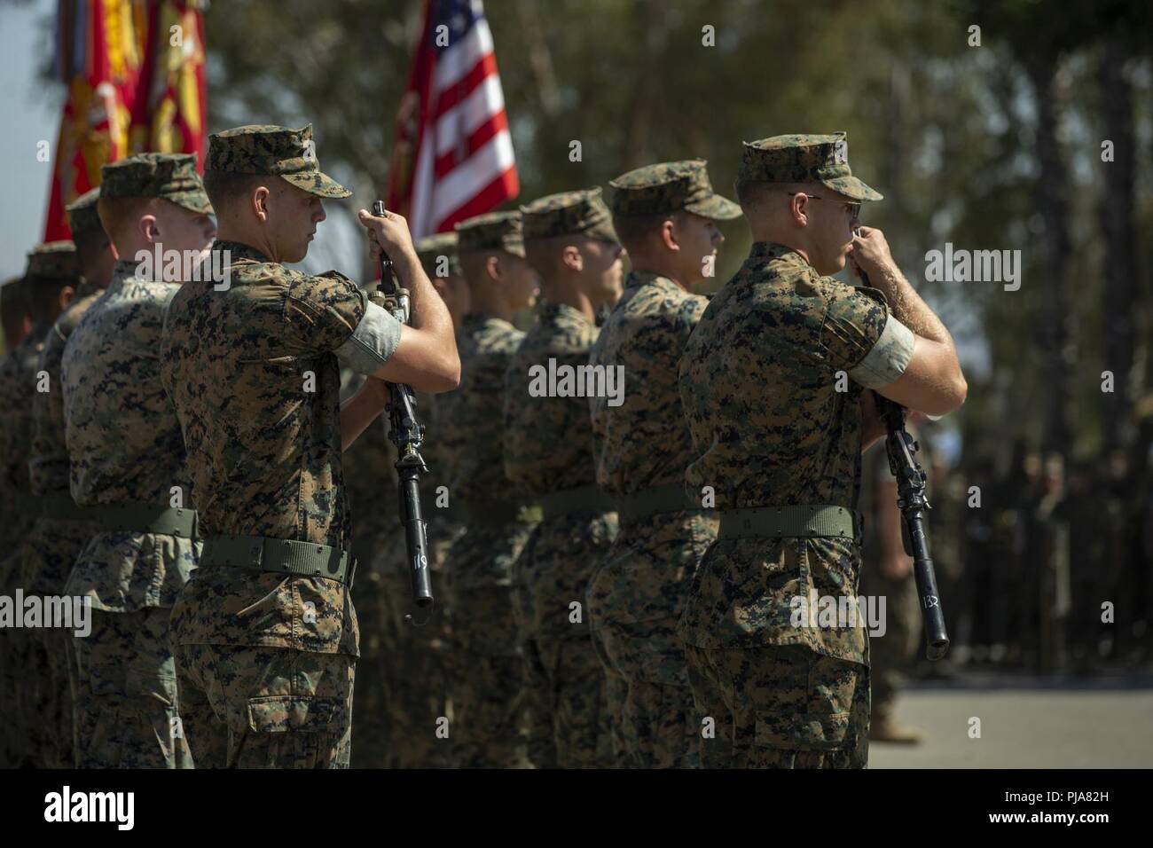 U.S. Marines with the 1st Marine Division stand in formation during a ...
