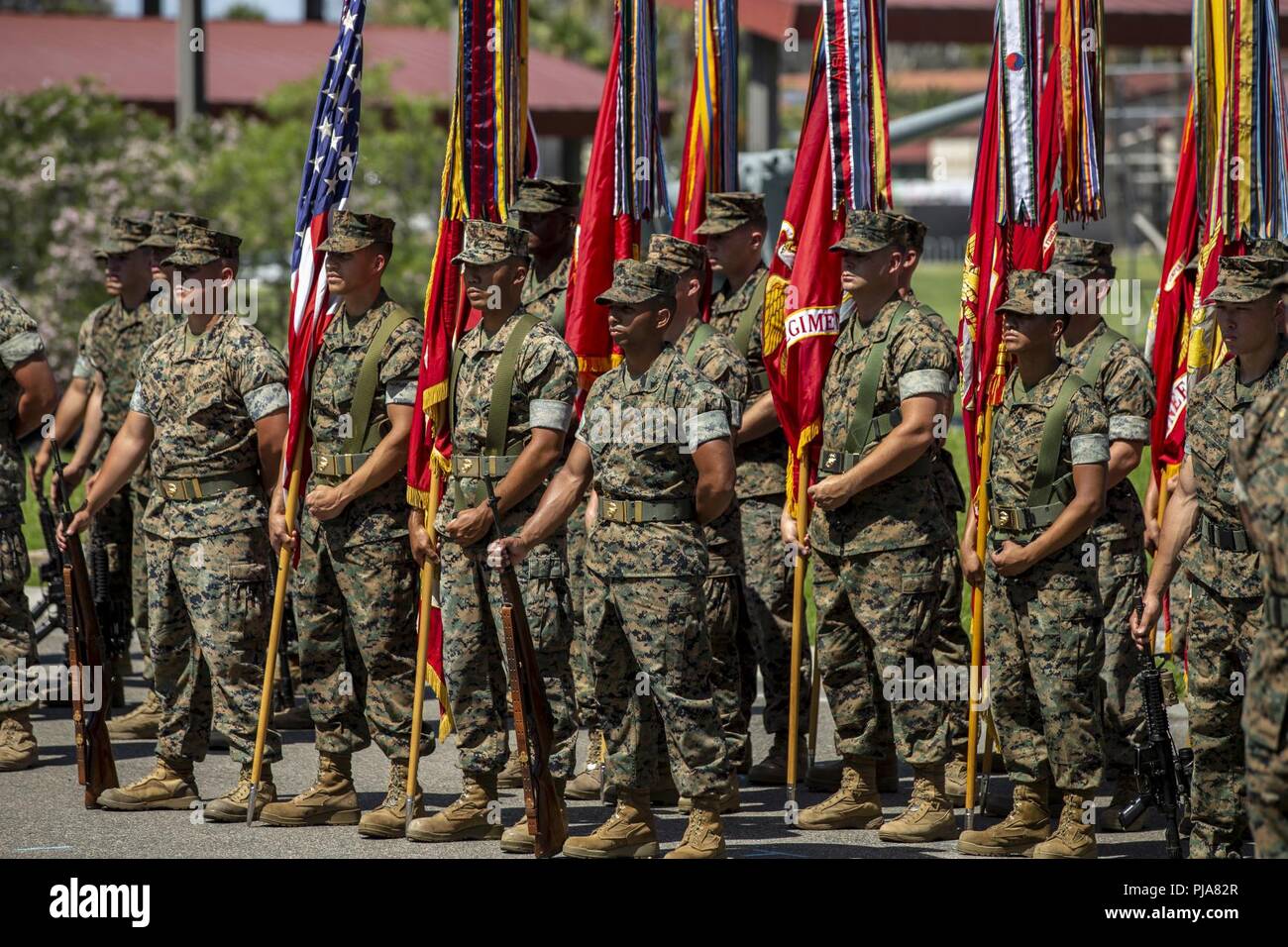 U.S. Marines with the 1st Marine Division stand in formation during a ...