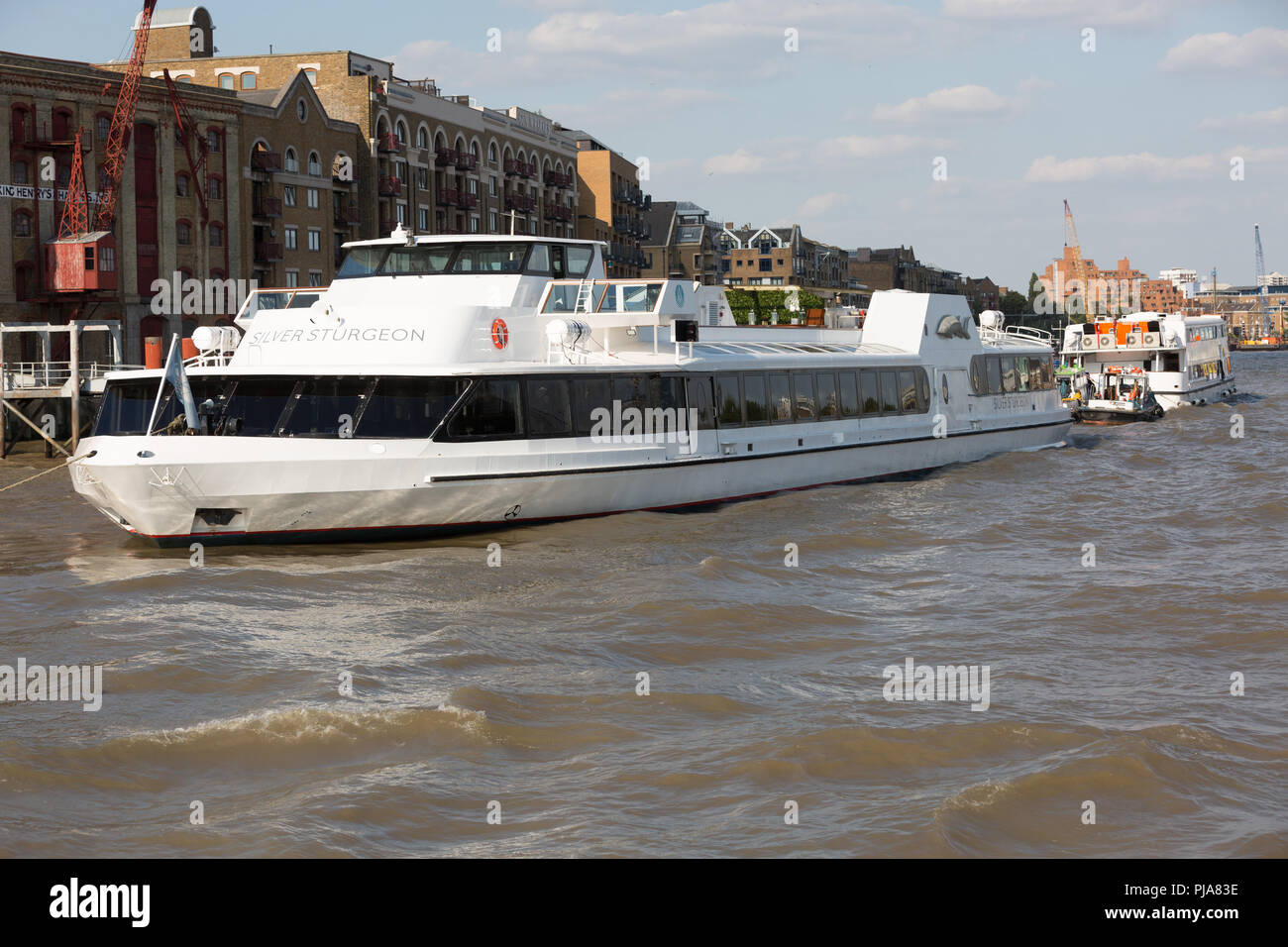 Silver sturgeon river boat hi-res stock photography and images - Alamy