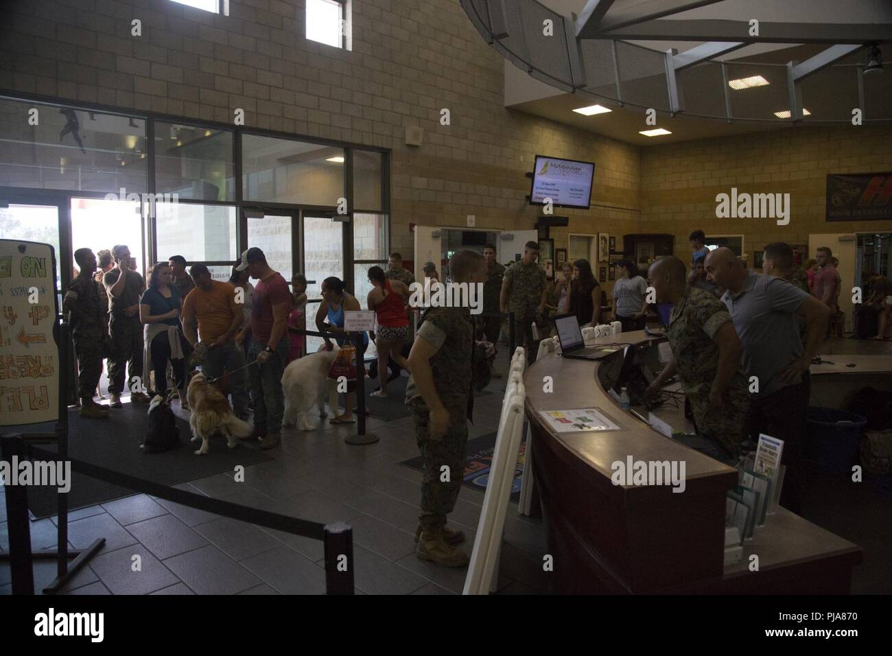 Paige fieldhouse hi-res stock photography and images - Alamy