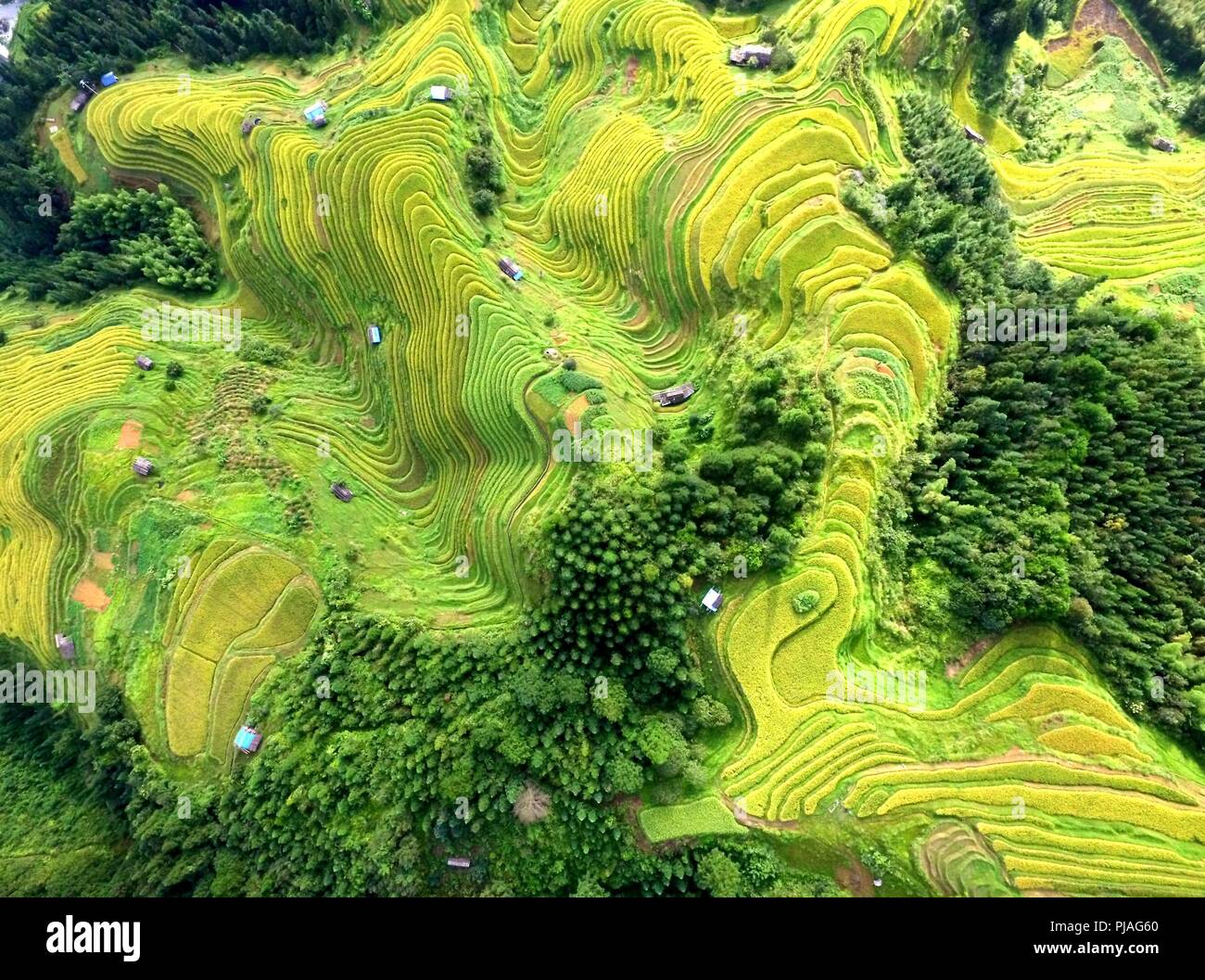 Rongjian, Rongjian, China. 6th Sep, 2018. Rongjiang, CHINA-Autumn ...