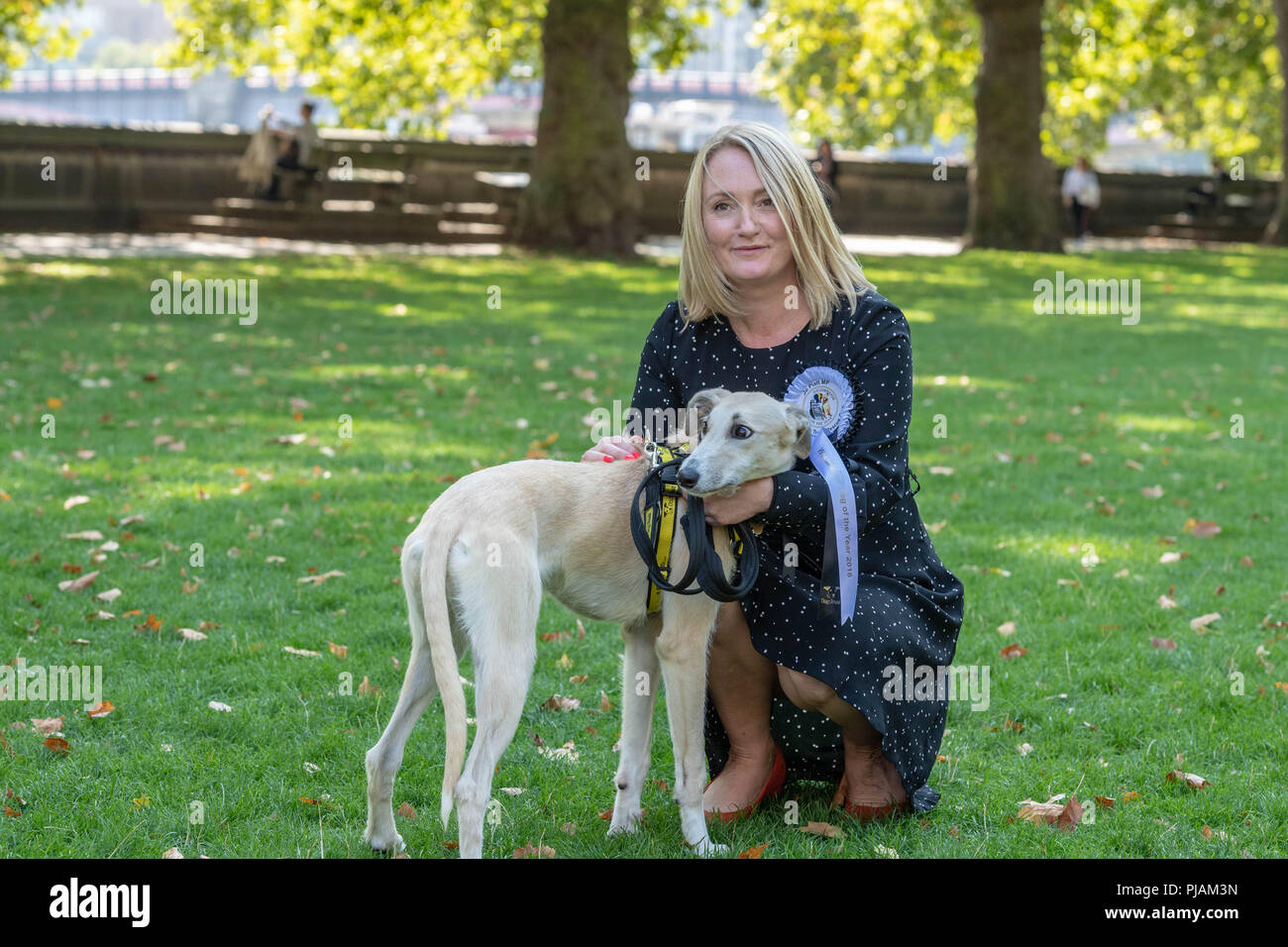 Jo platt mp hi-res stock photography and images - Alamy