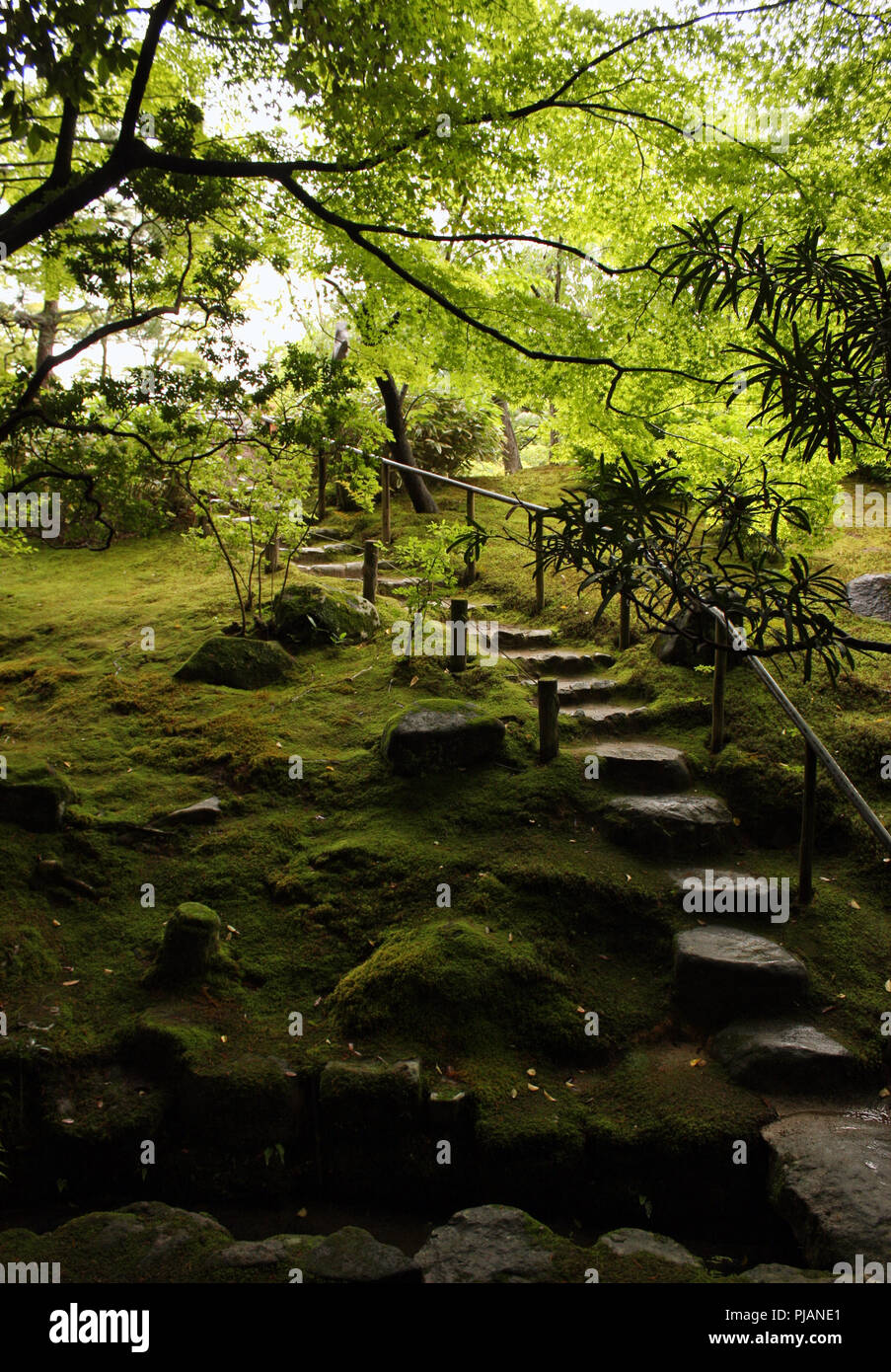 Beautiful landscape of a Japanese garden during a rainy day Stock Photo ...