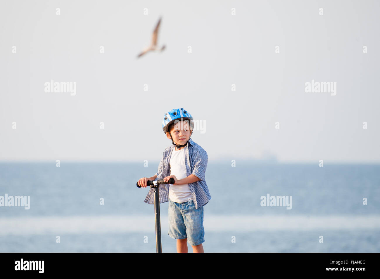 cute healthy kid in blue helmet on scooter on sea with flying seagull ...