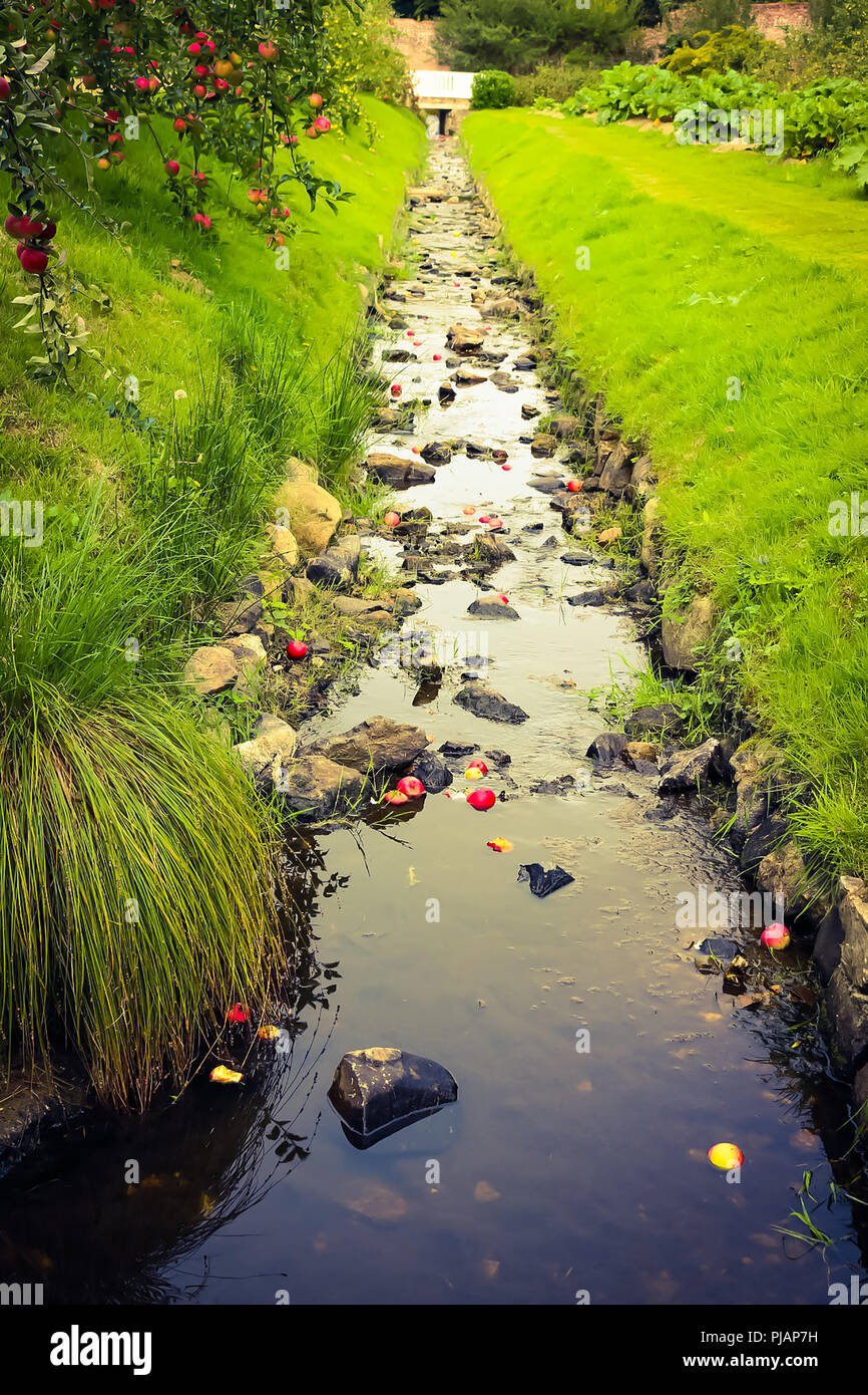 Apple in the River Stock Photo - Alamy