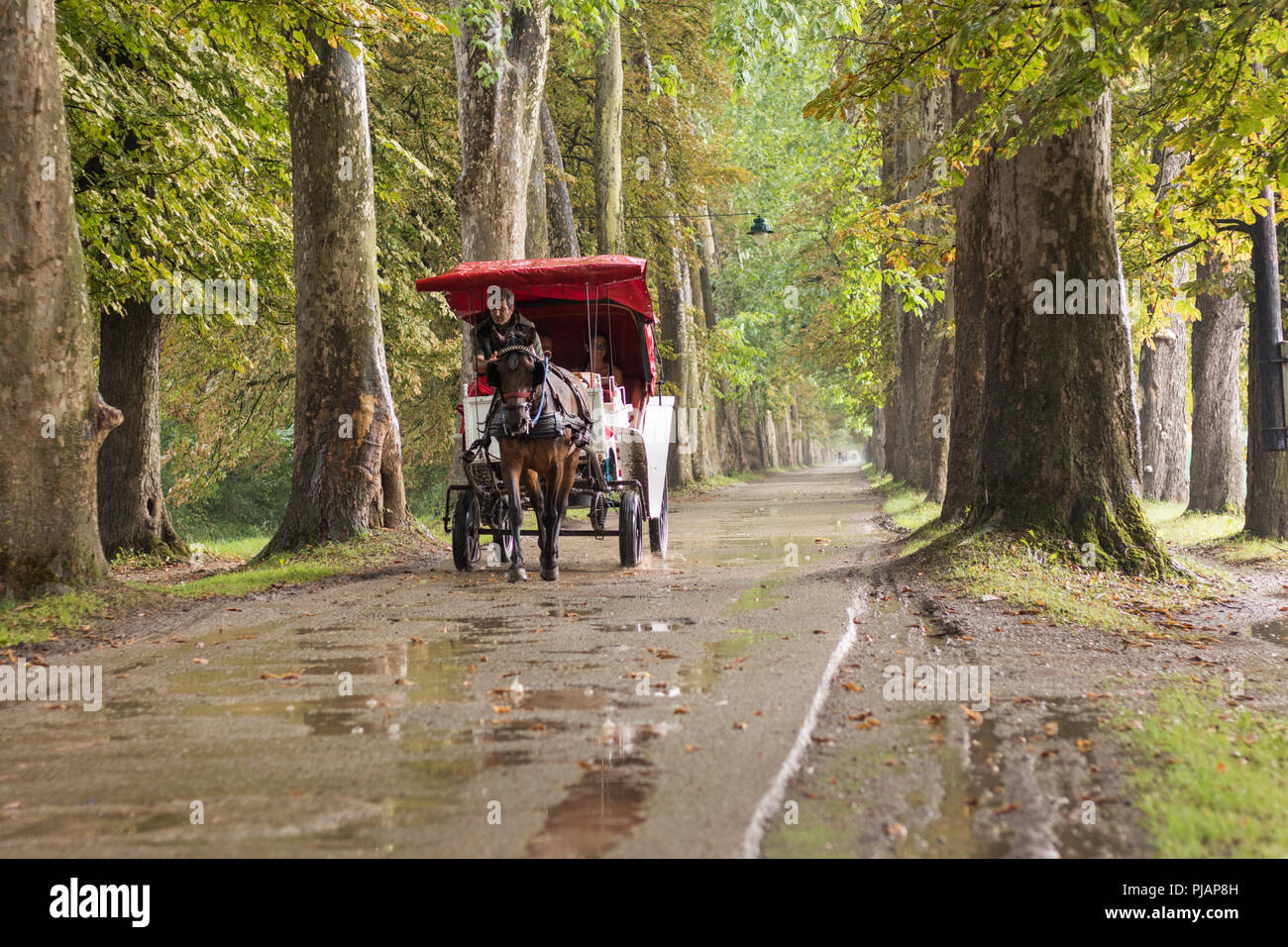 Wind carriage hi-res stock photography and images - Alamy