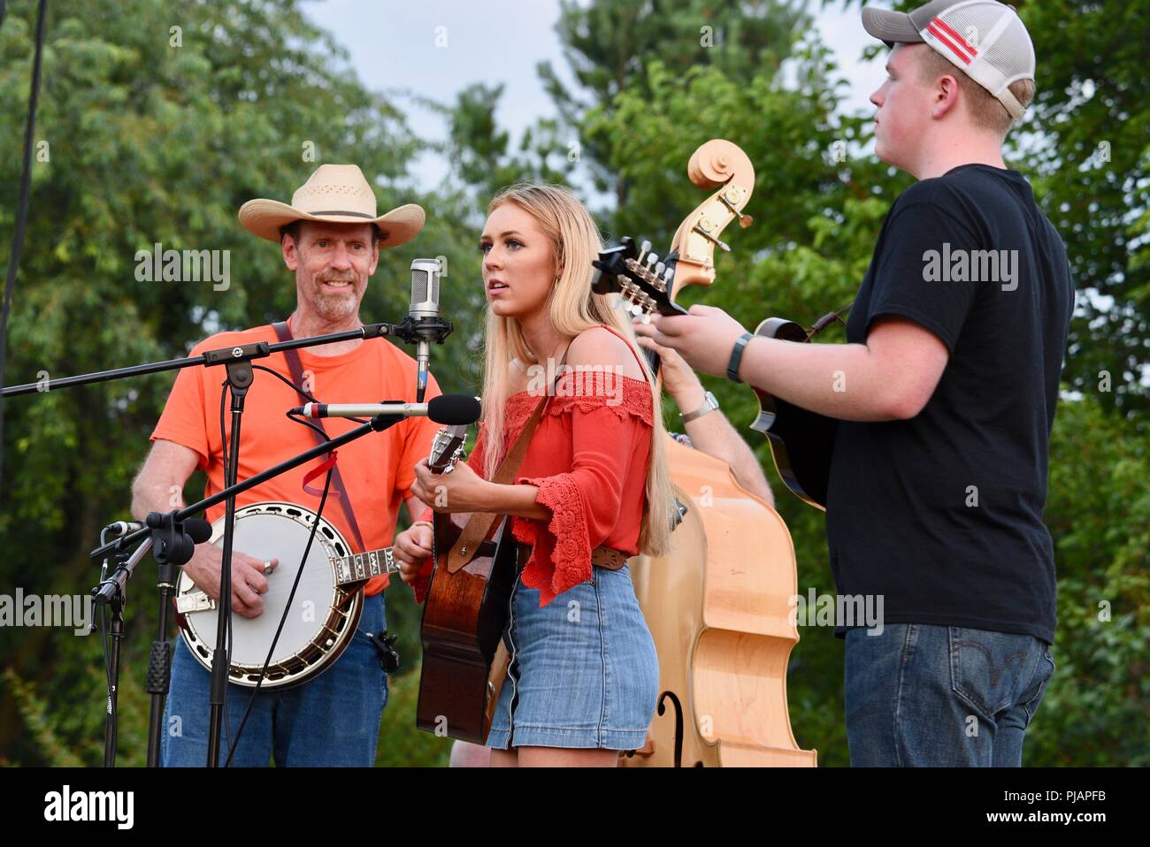 Bluegrass music performers playing live music with banjo, guitars ...