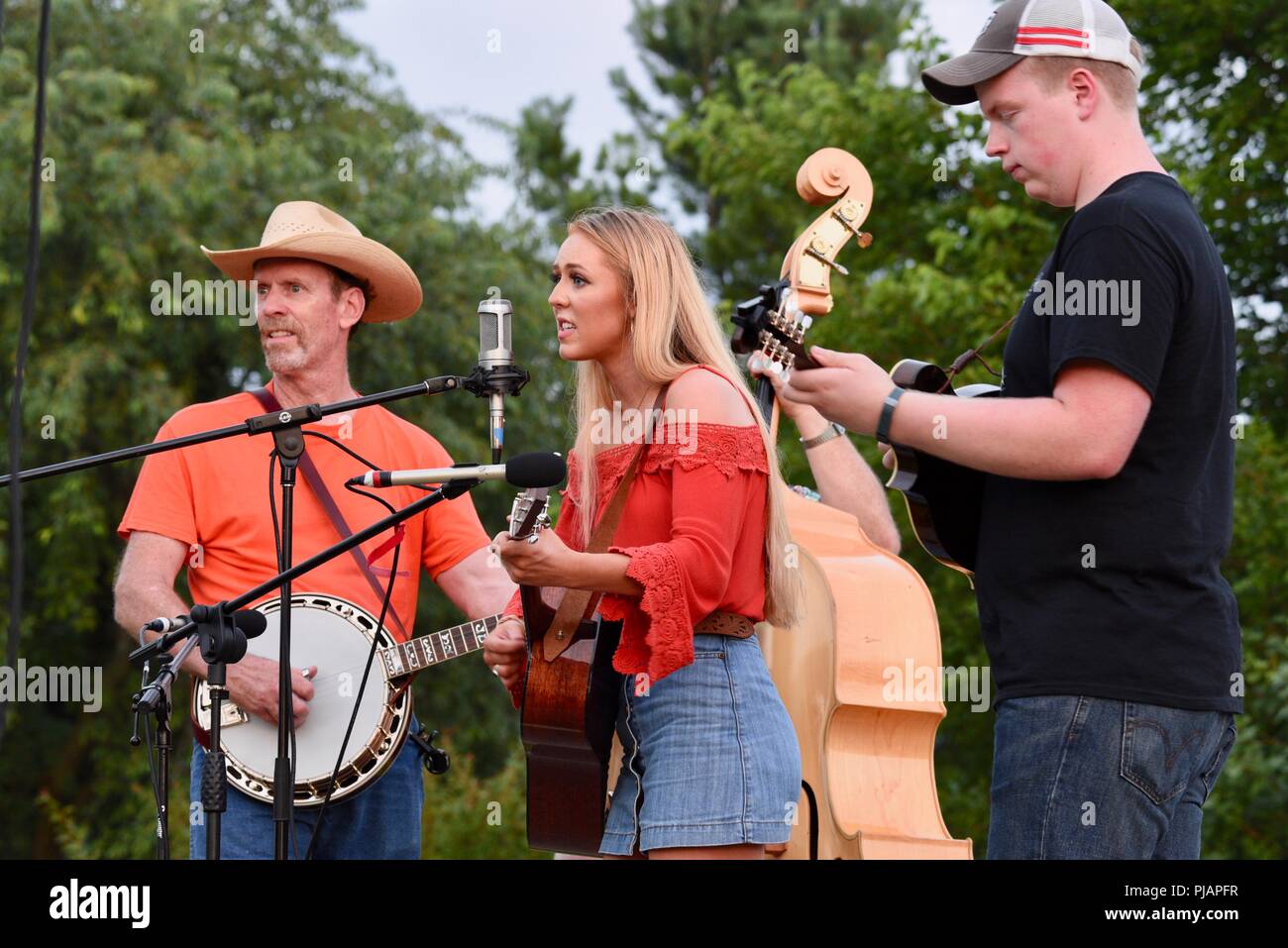 Bluegrass music performers playing live music with banjo, guitars ...