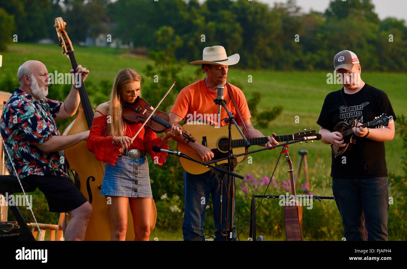 Bluegrass music performers playing live music with banjo, guitars ...
