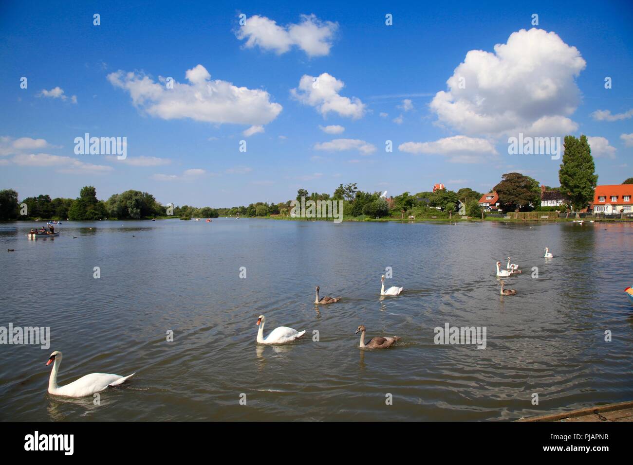 Rowing boats on thorpeness meare suffolk hi-res stock photography and ...