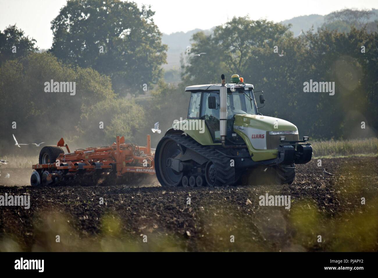 Tractor cultivating after harvest Stock Photo - Alamy