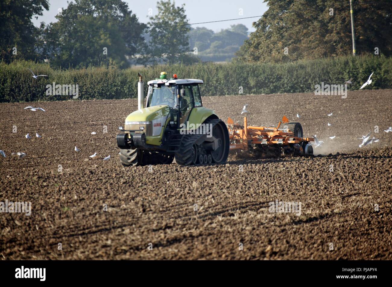 Tractor cultivating after harvest Stock Photo - Alamy