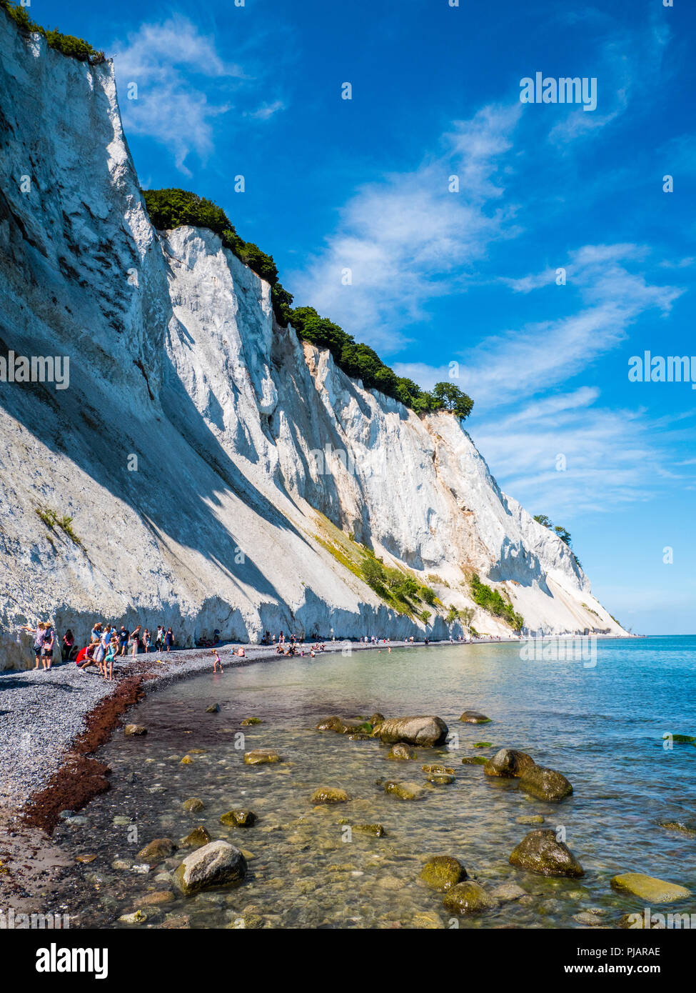 Tourists Walking at, Møns Klint, Famous Chalk Cliffs, Island of Mons ...