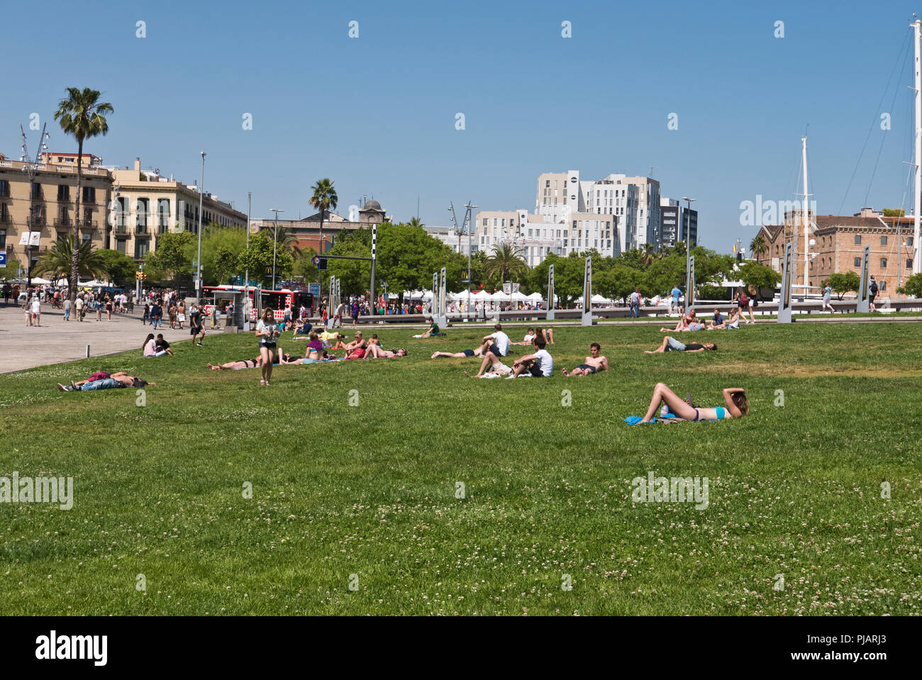 People sunbathing in a grass open space in Barcelona, Spain Stock Photo ...