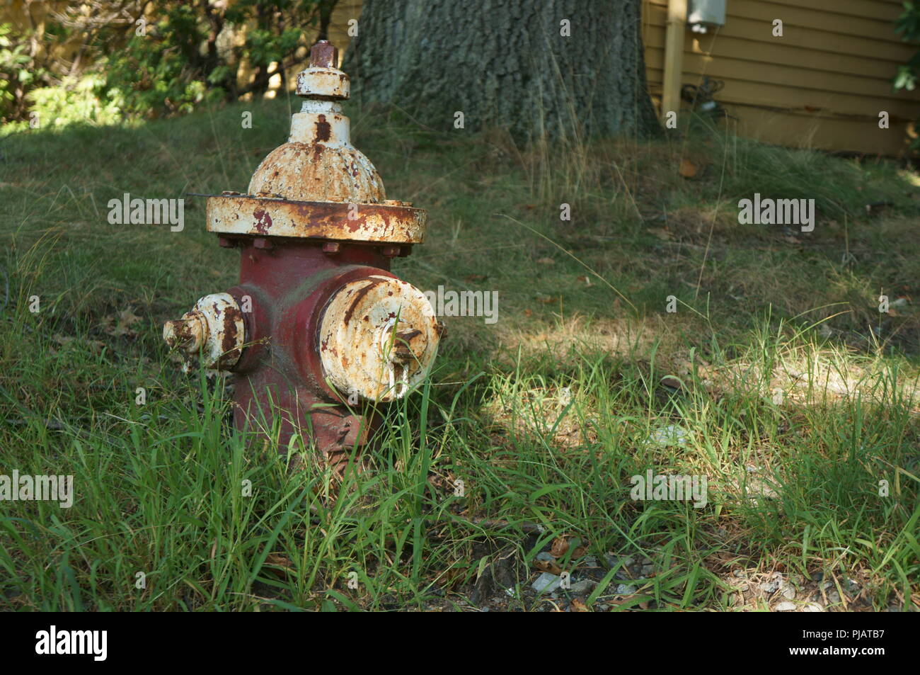 rusty fire hydrant in the grass that's still in service Stock Photo - Alamy