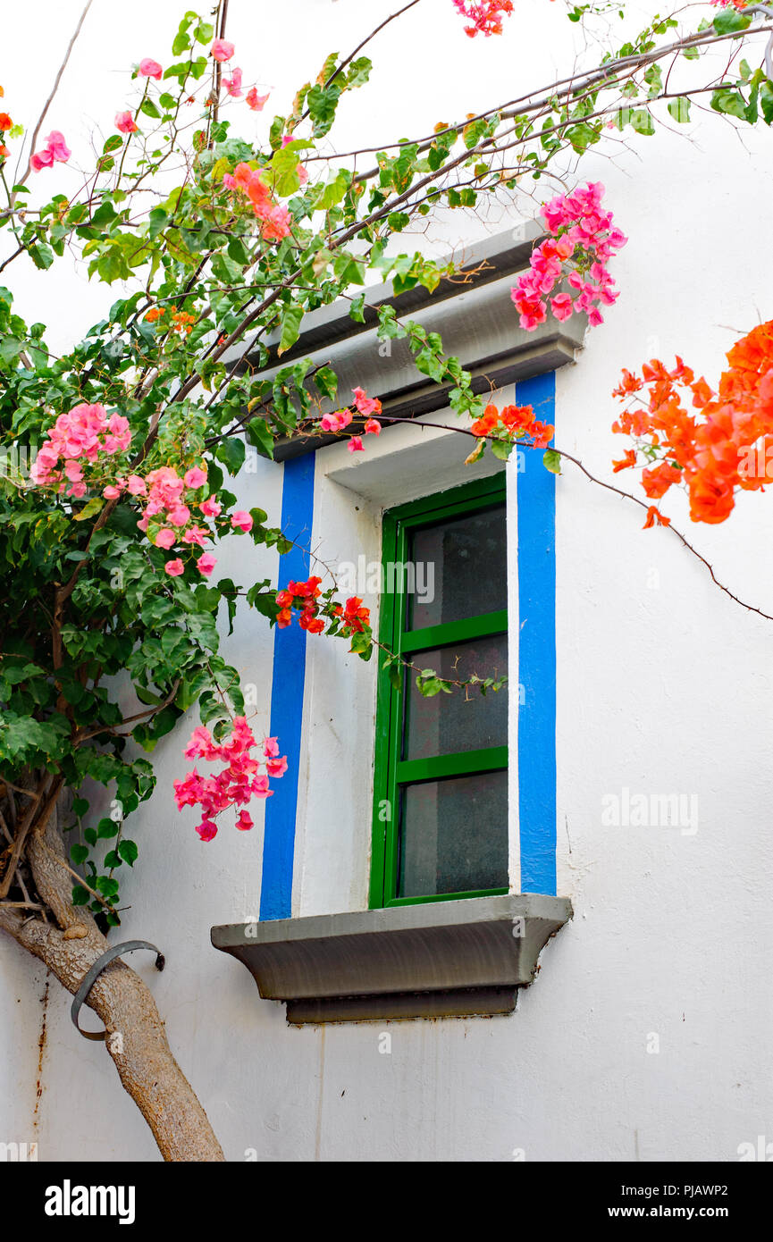 Rose Around Window High Resolution Stock Photography and Images - Alamy