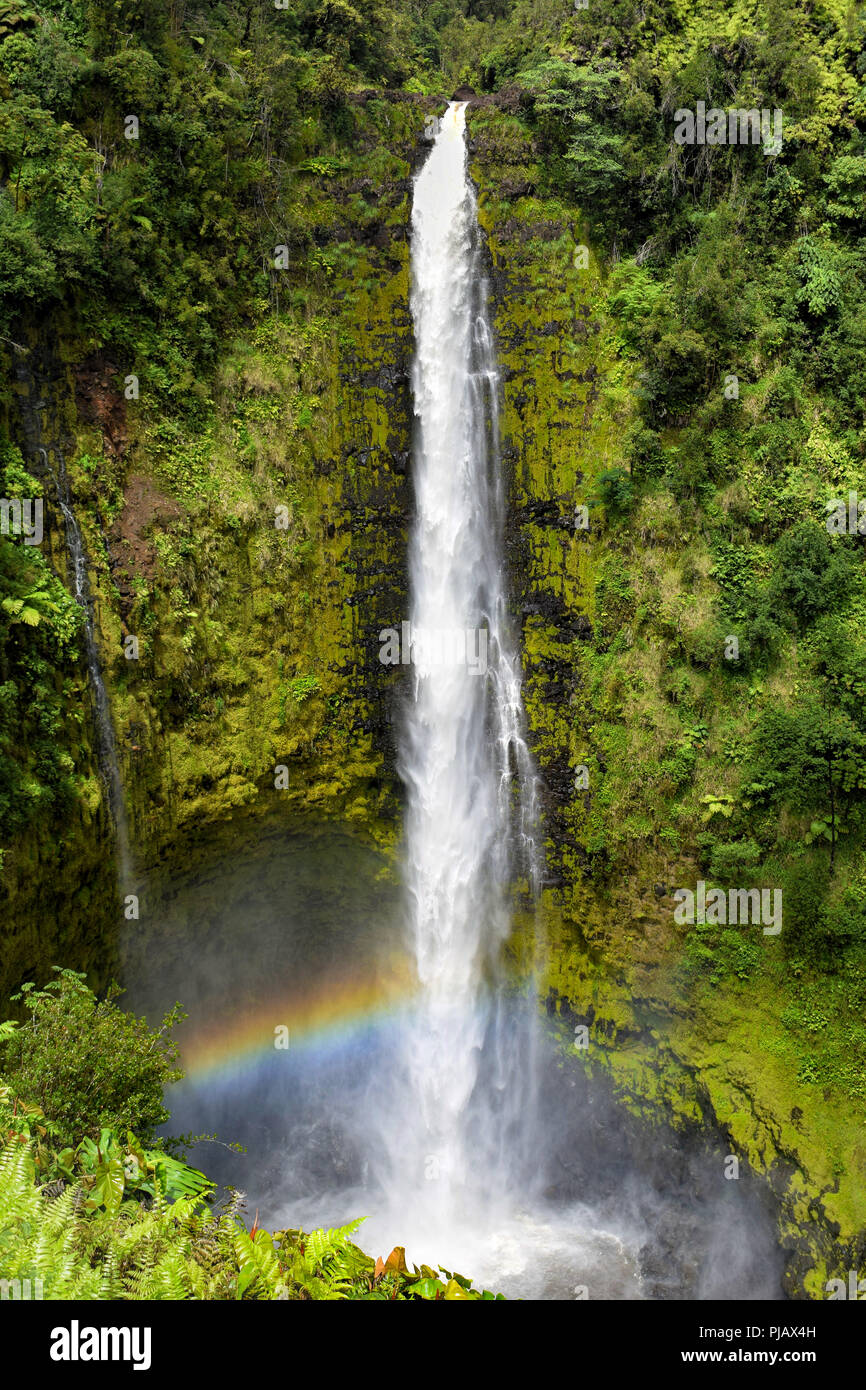 'Akaka Falls Waterfall with a rainbow on the Island of Hawaii Stock ...