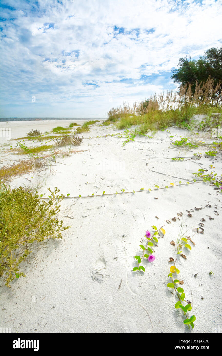 The wide, sandy beach at Bean Point, the northern tip of Anna Maria ...