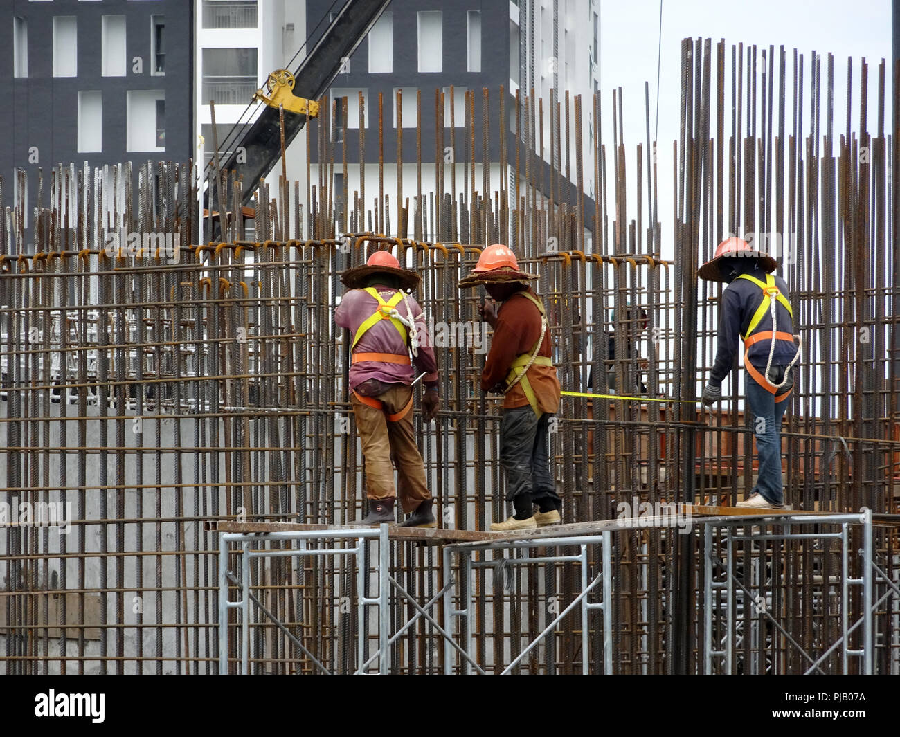 Construction workers installing reinforcement bar at the construction ...