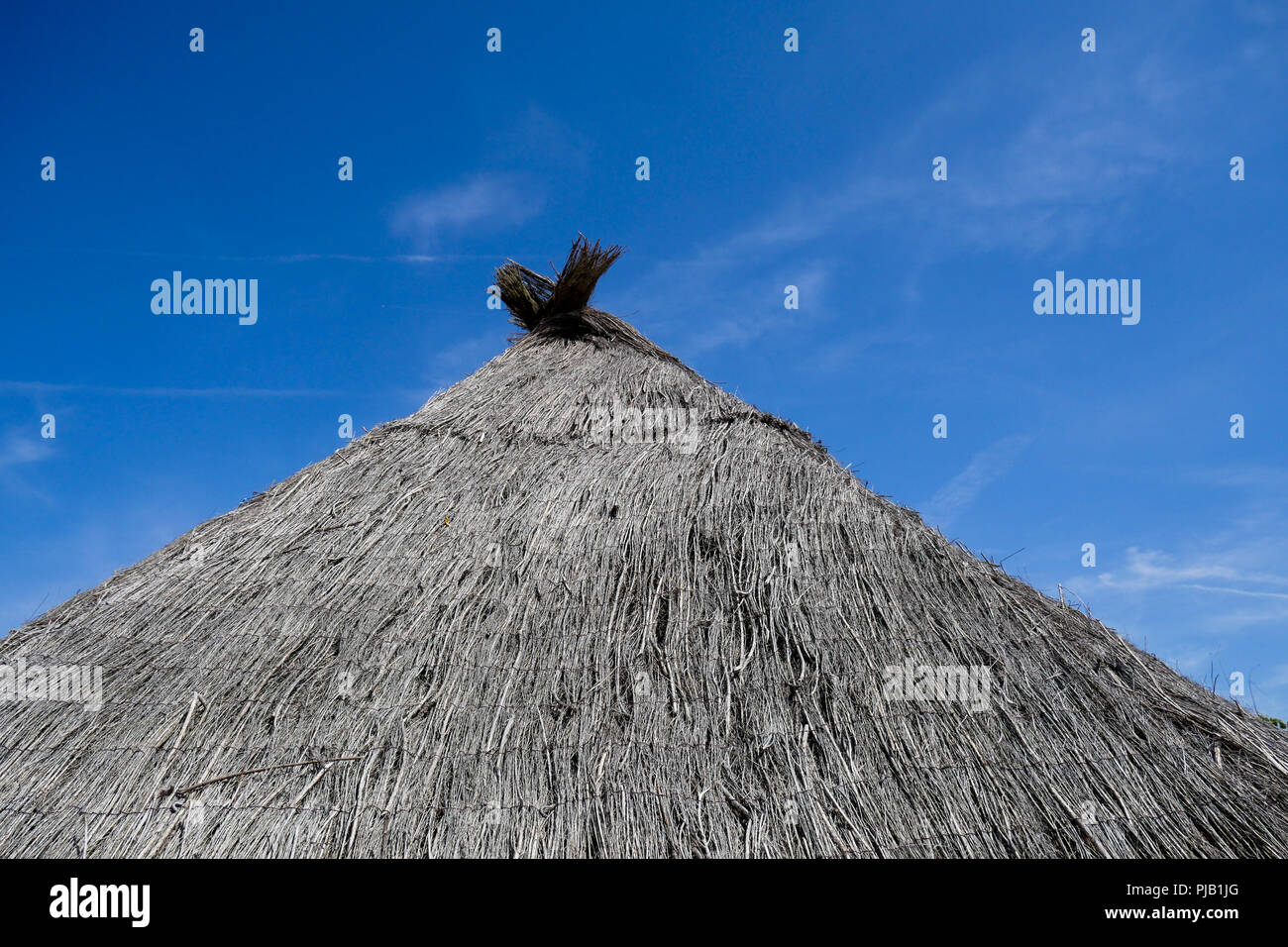 Australian bush housing hi-res stock photography and images - Alamy