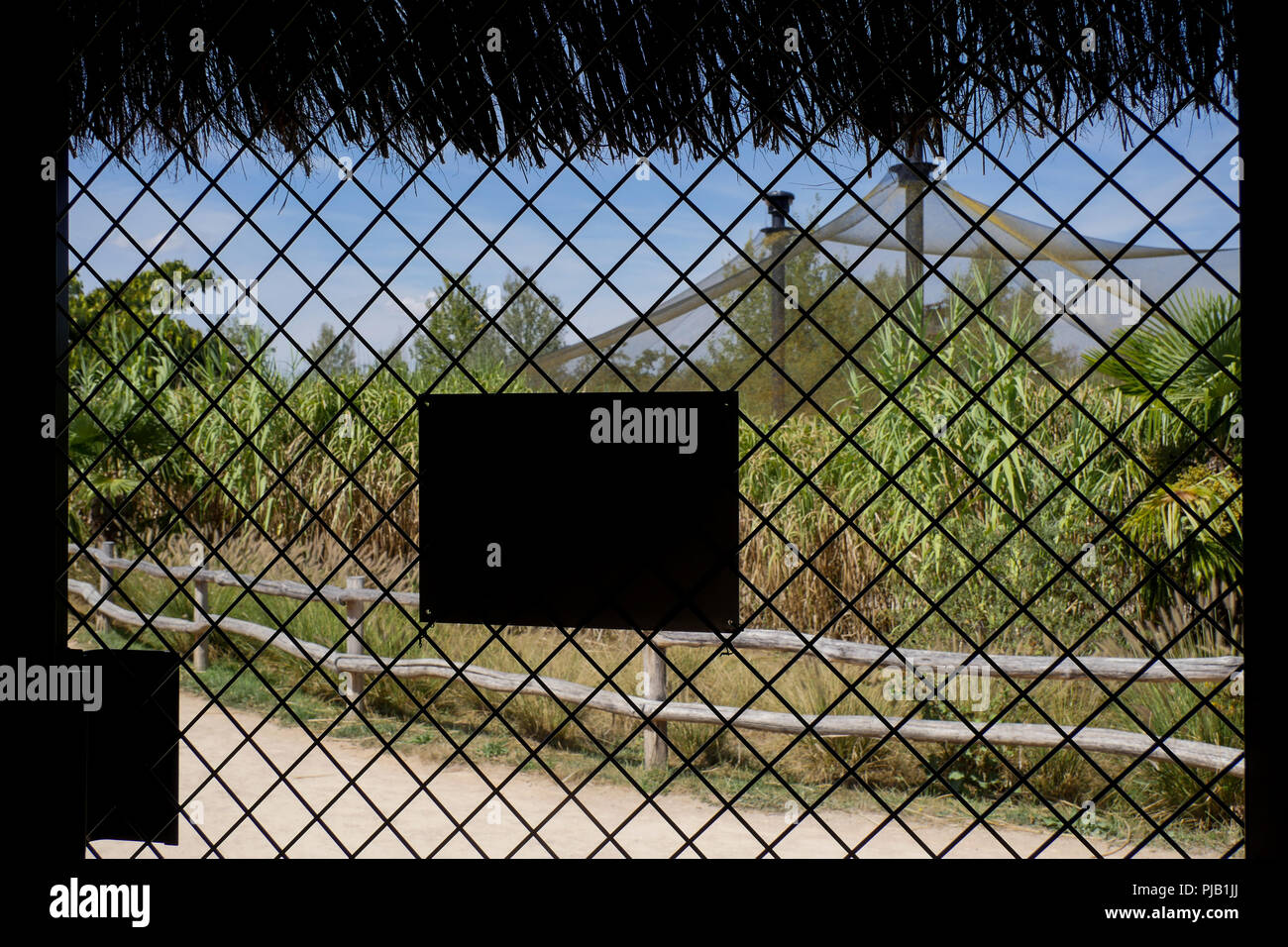 View through a screen door, Birds Park, Villars-les-Dombes, Ain, France ...