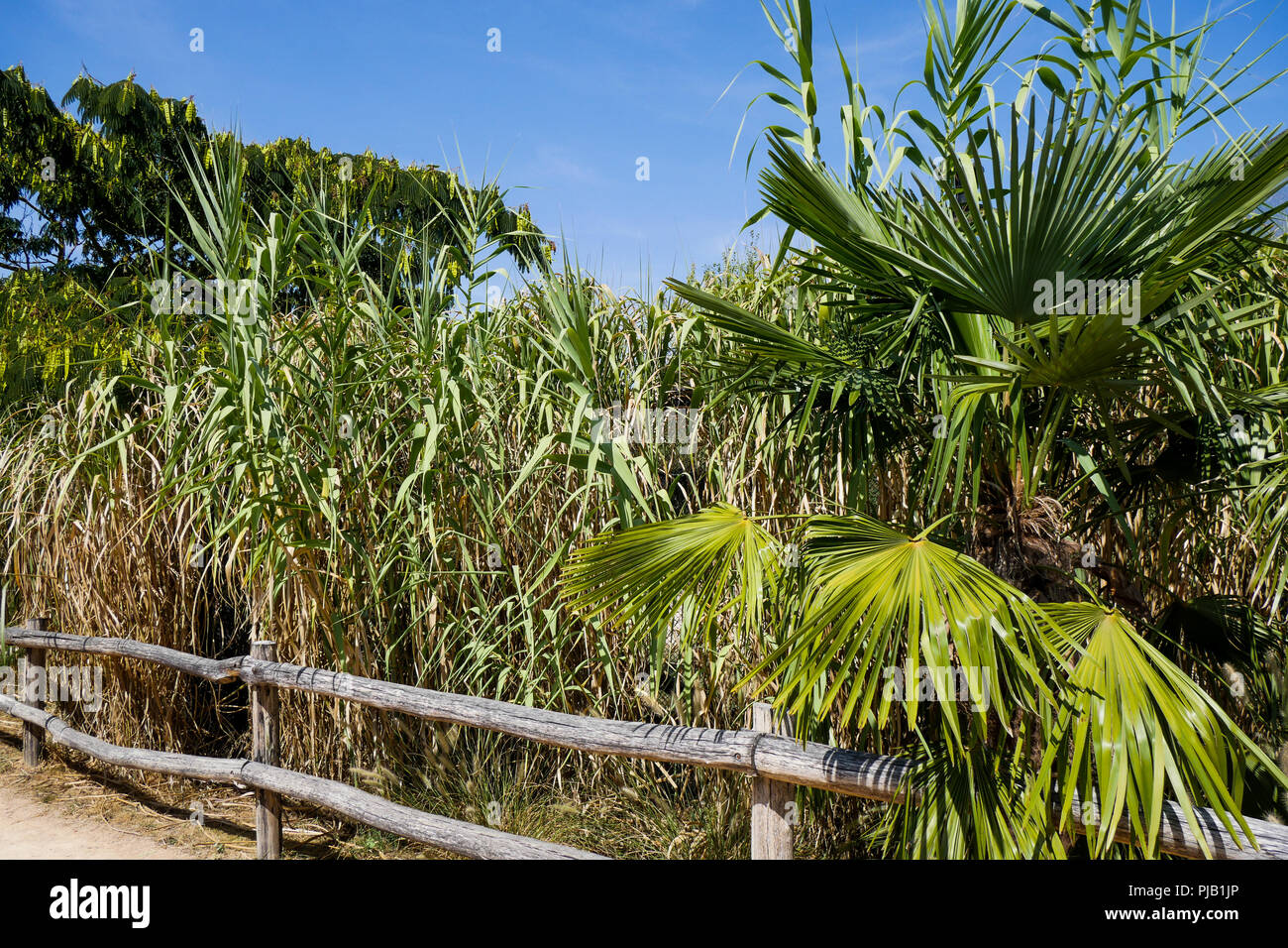 Dombes ponds hi-res stock photography and images - Alamy