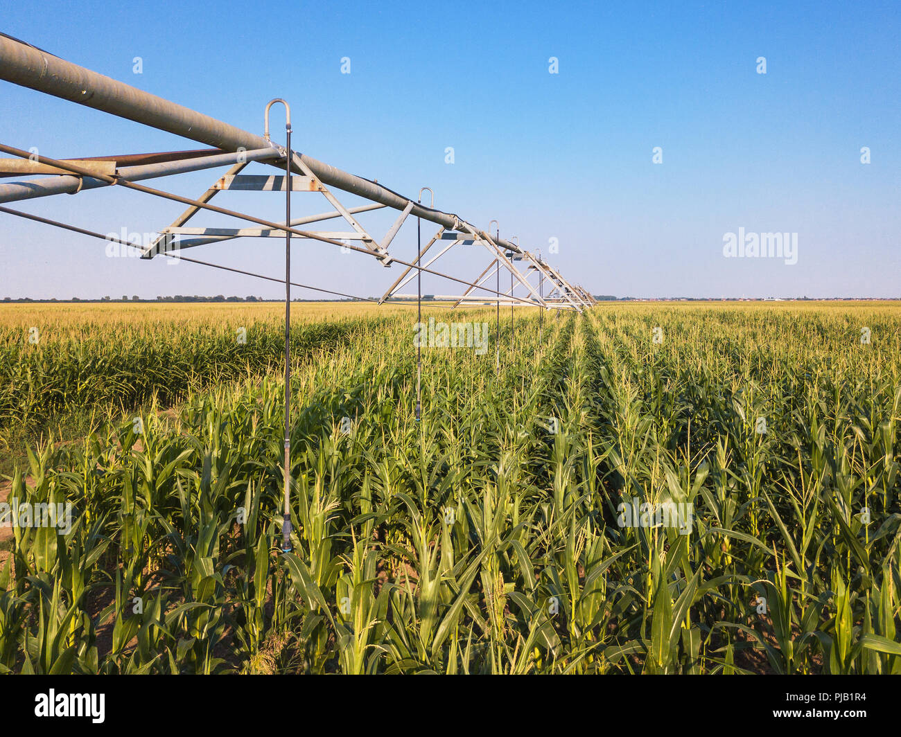 Drone photography, aerial view of water irrigation system in cultivated ...