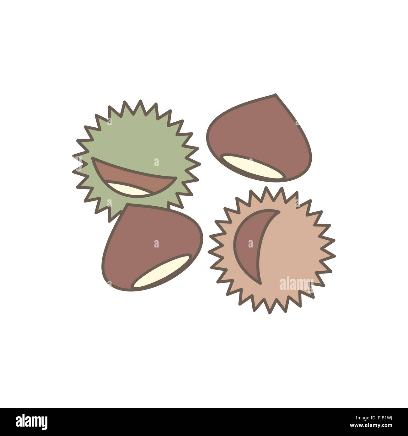 cute vector chestnuts isolated on white background Stock Vector Image ...