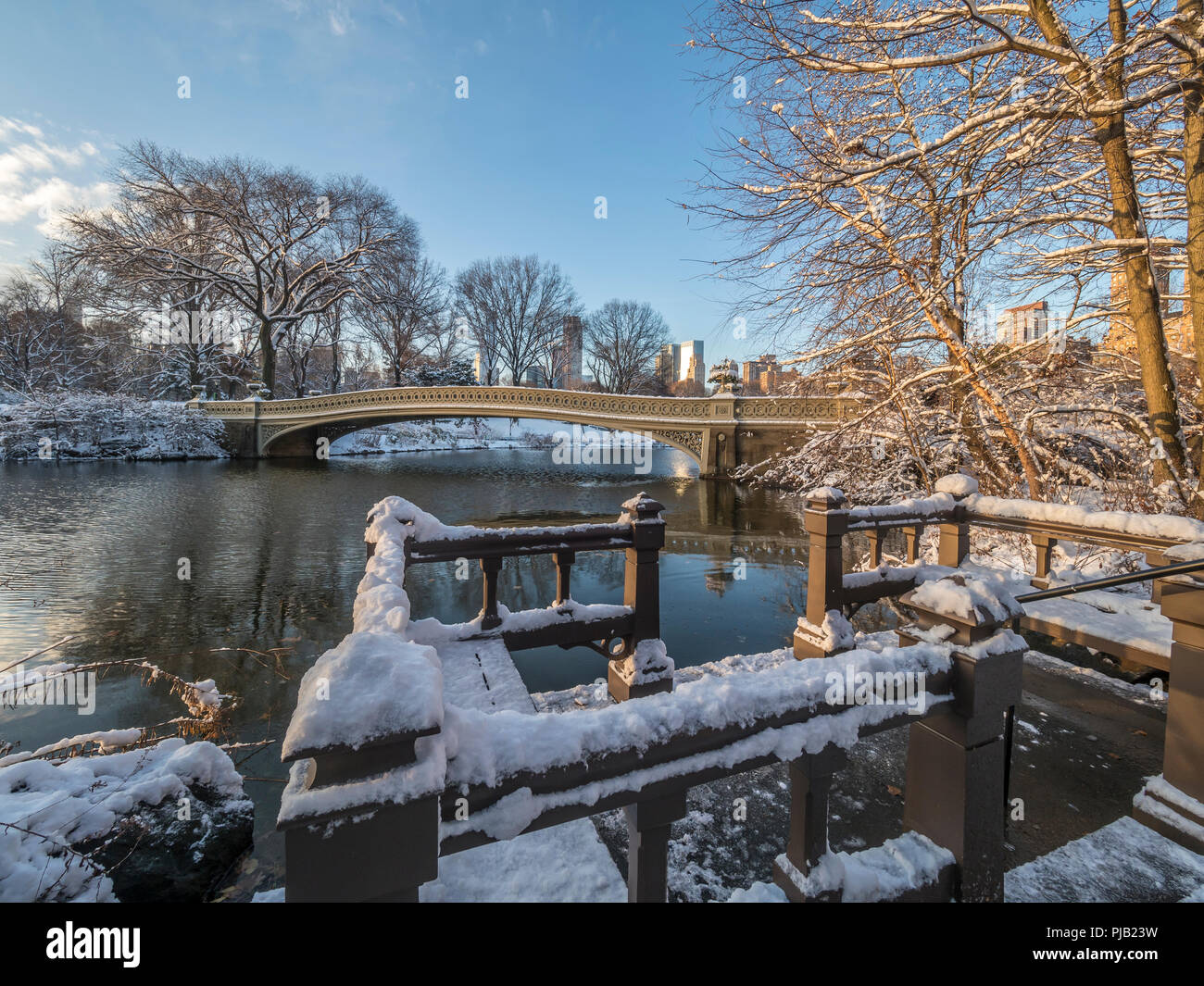 The Bow Bridge is a cast iron bridge located in Central Park, New York ...