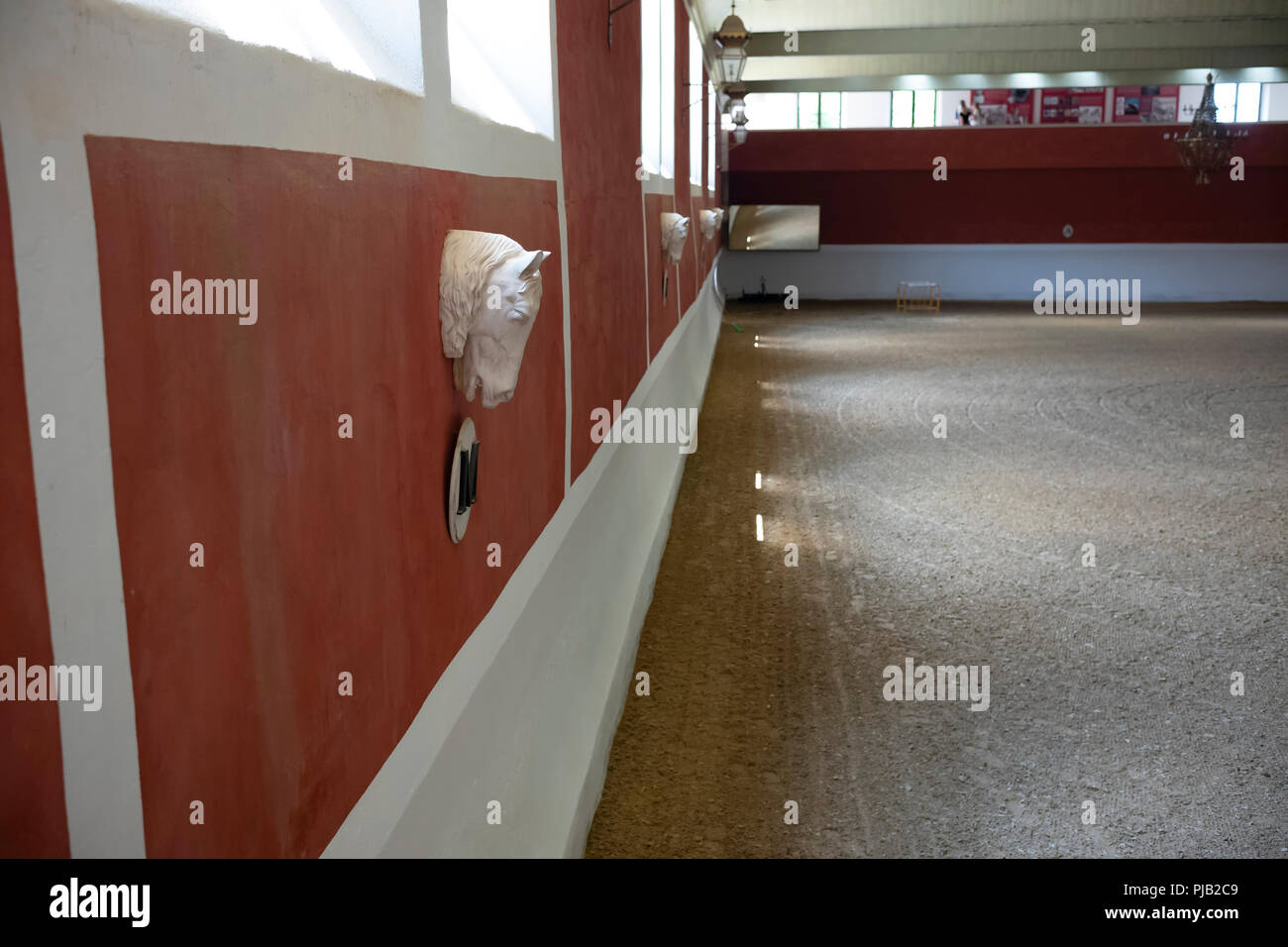Bullring ronda museum hi-res stock photography and images - Alamy