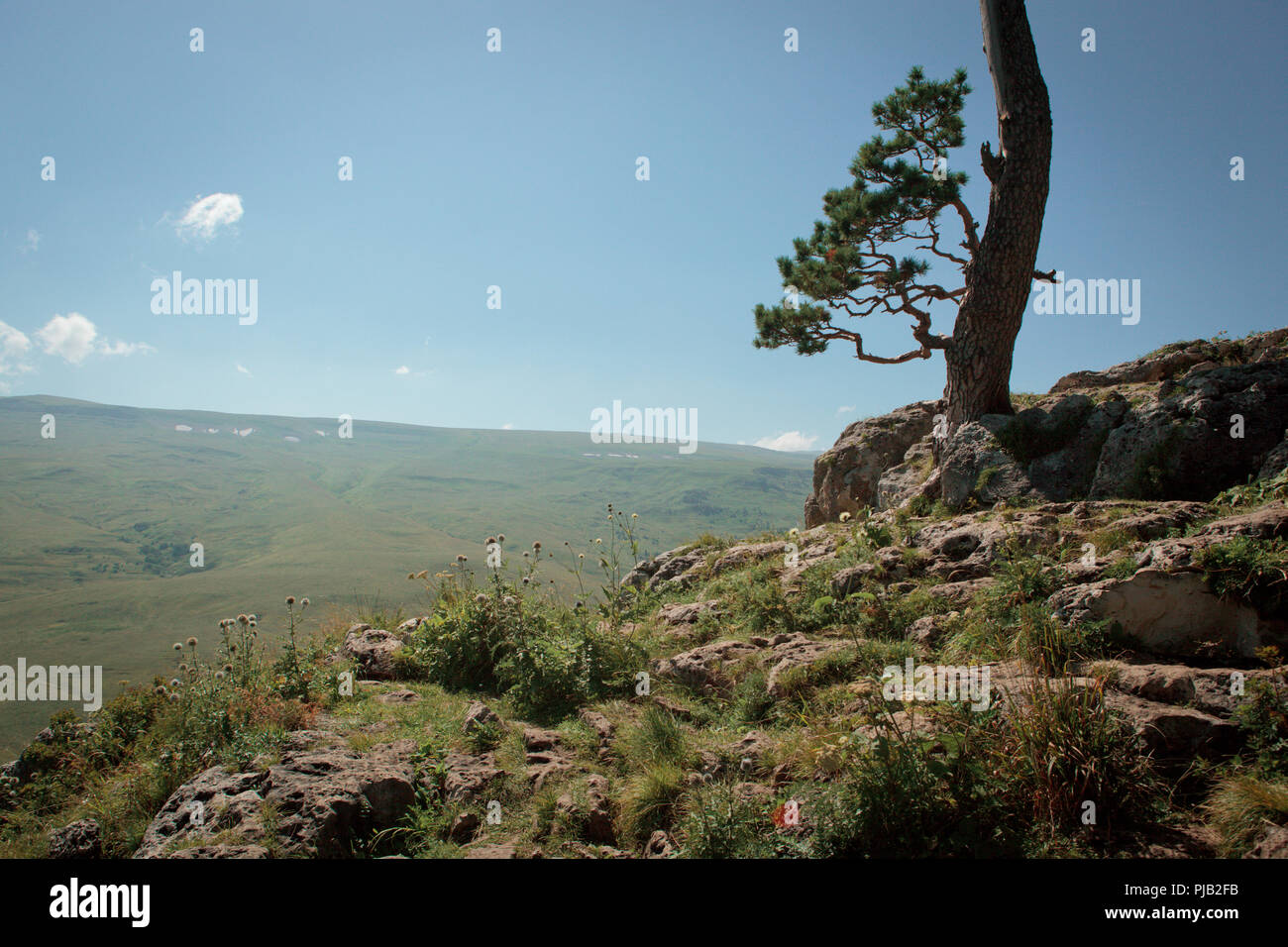 Lago naki plateau, Adygea Stock Photo - Alamy