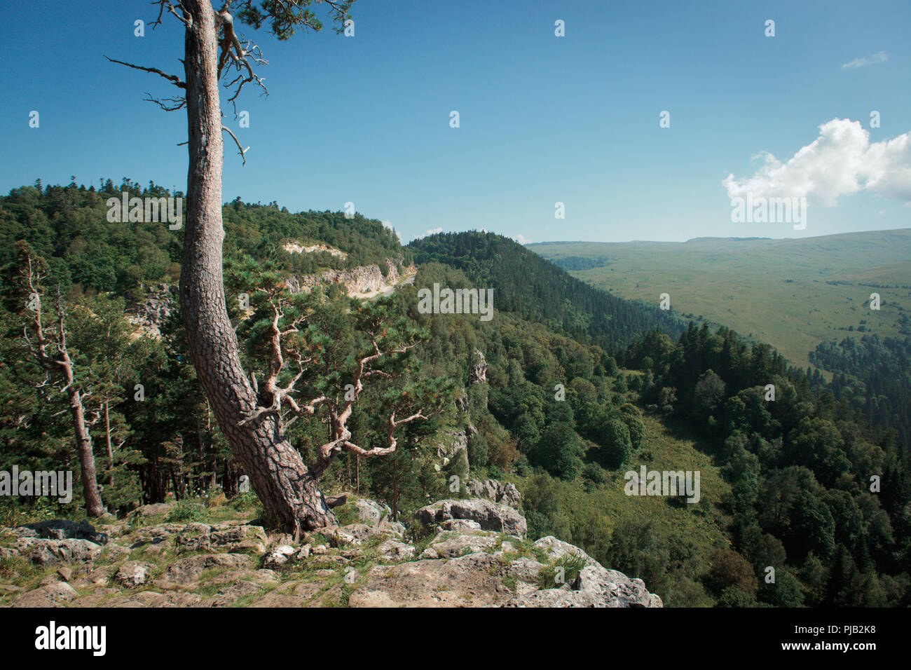 Lago naki plateau, Adygea Stock Photo - Alamy