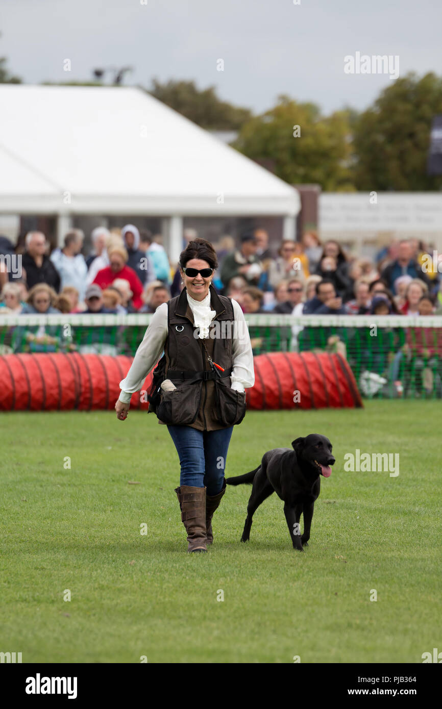 Adrian and Caroline Slater dog agility display at the 2018 Southport ...