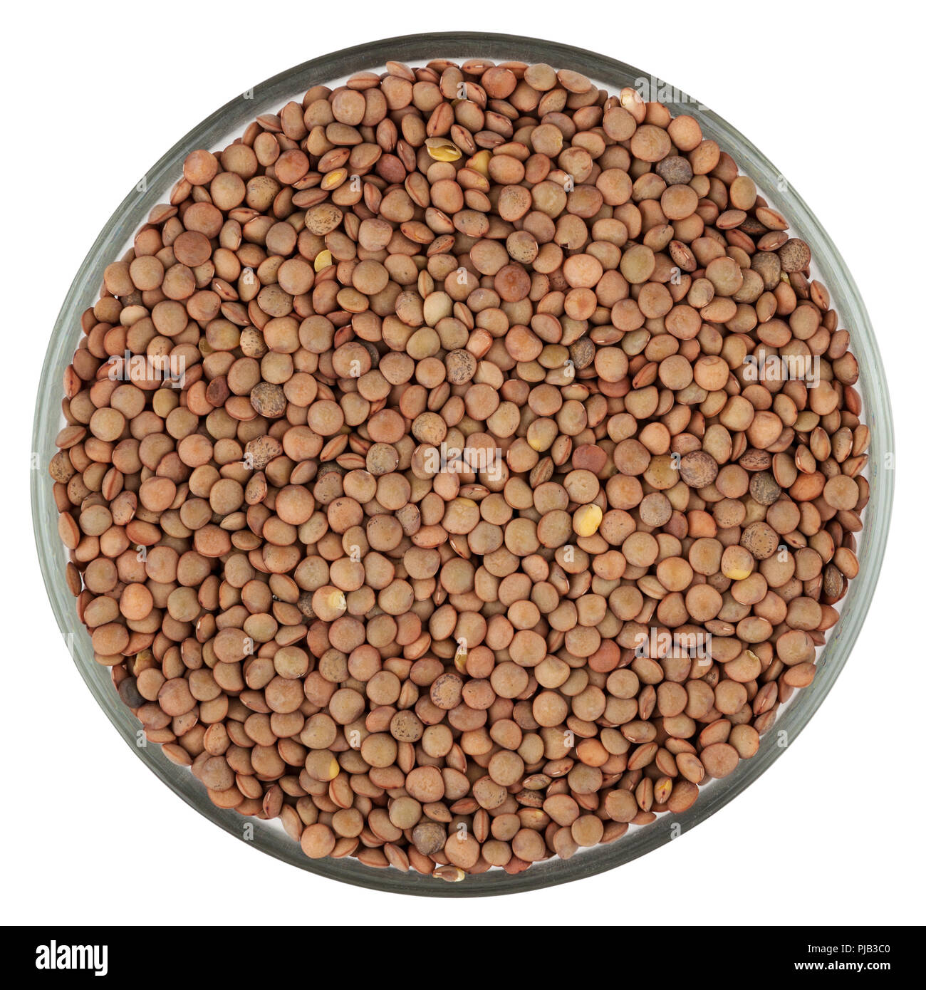Lentils isolated on white background with clipping path Stock Photo - Alamy