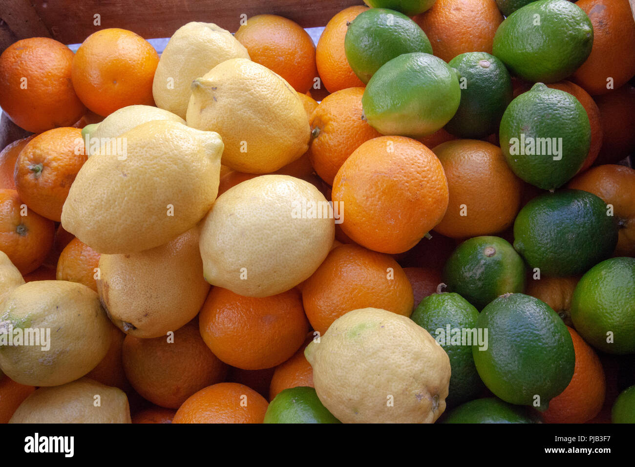 Crate of Citrus Fruit Stock Photo - Alamy