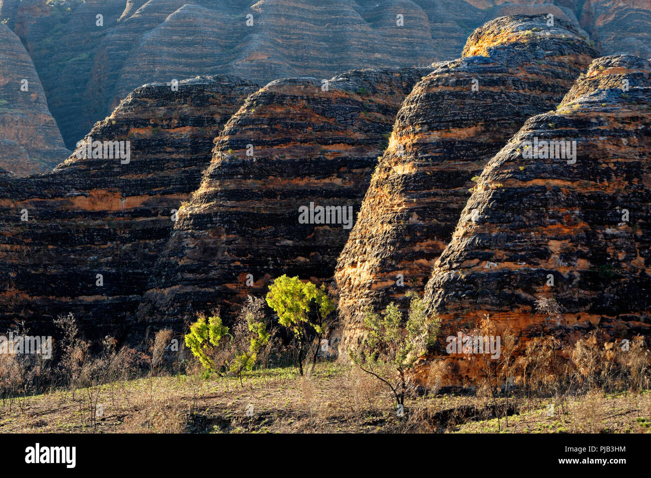 Beehive shaped sandstone formations, Purnululu National Park, Kimberley ...