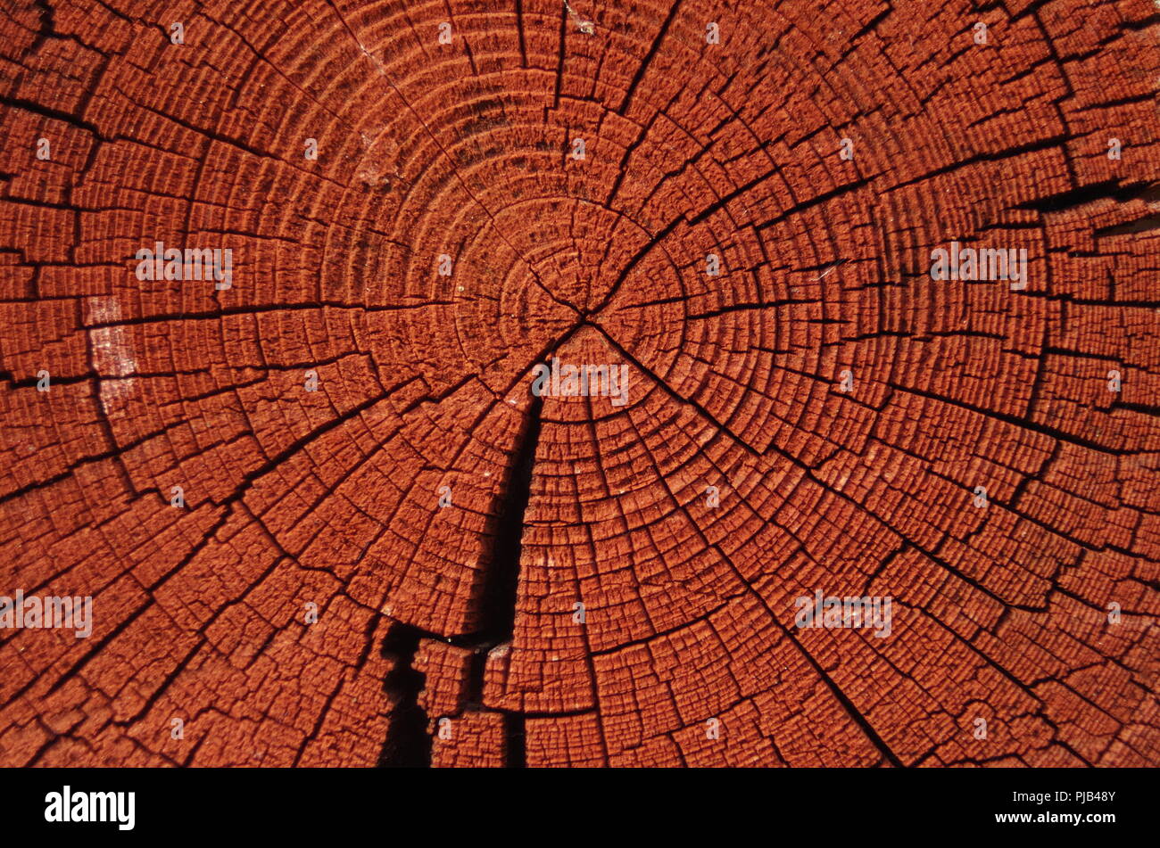 Rough cut log cabin hi-res stock photography and images - Alamy