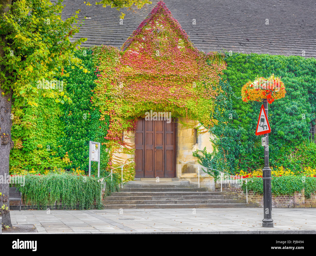 Ivy and other climbing plants on the wall surrounding the entrance to ...