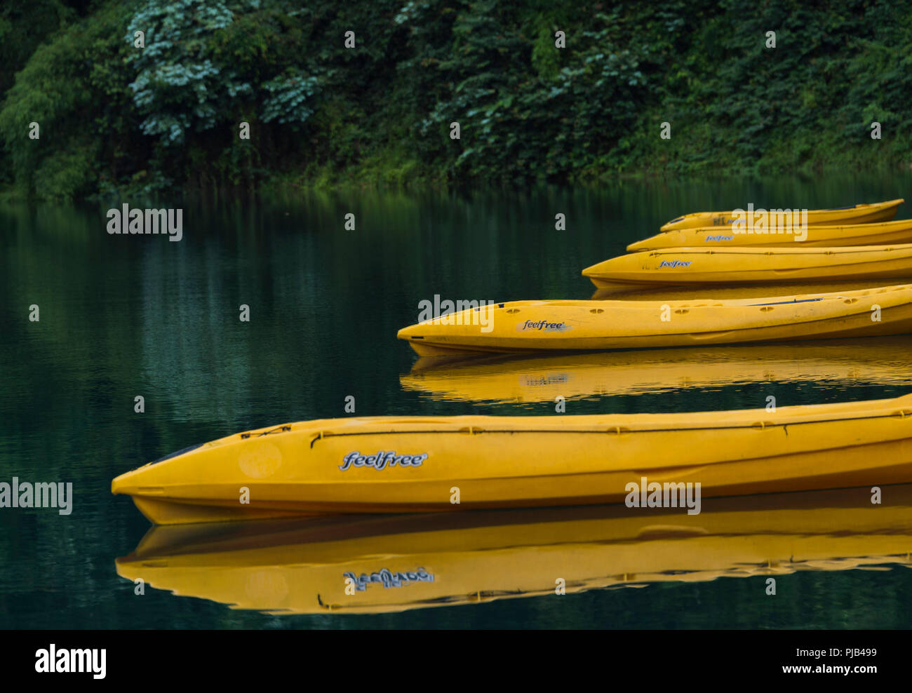 Bright yellow kayaks/canoes Chiew Lan Lake Khao Sok National Park ...