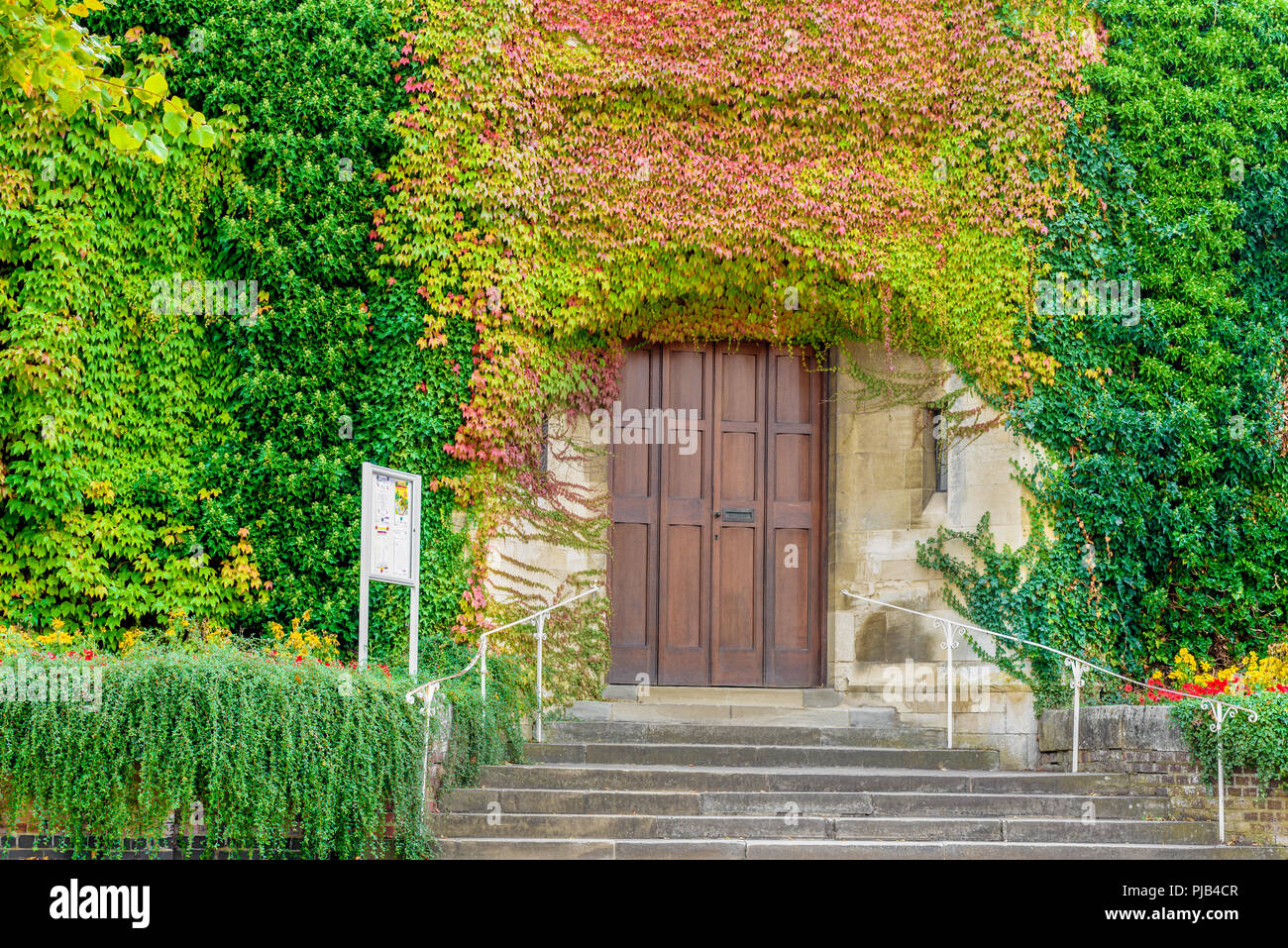 Ivy and other climbing plants on the wall surrounding the entrance to ...