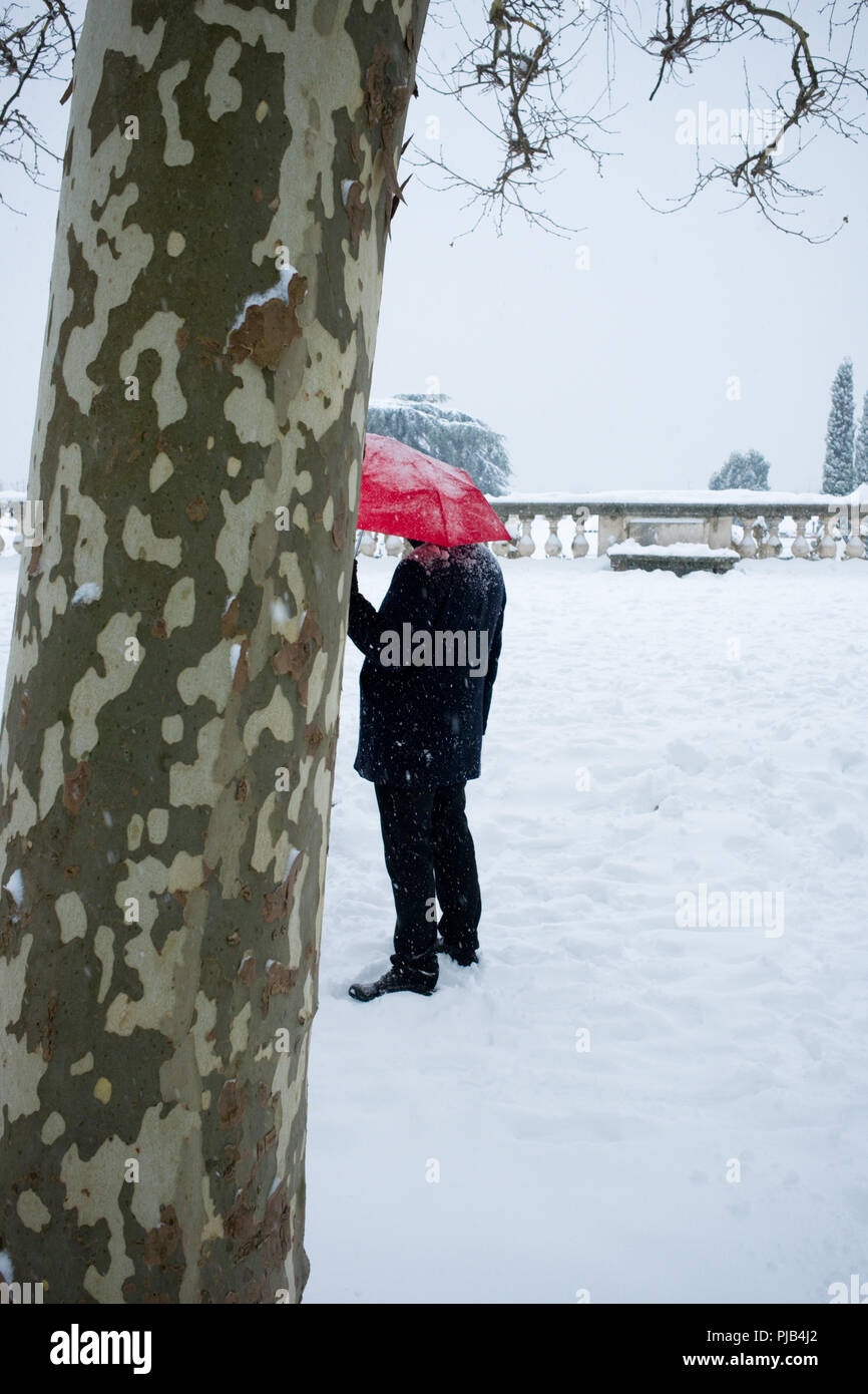 Dark Man Behind Tree Stock Photos & Dark Man Behind Tree Stock Images ...